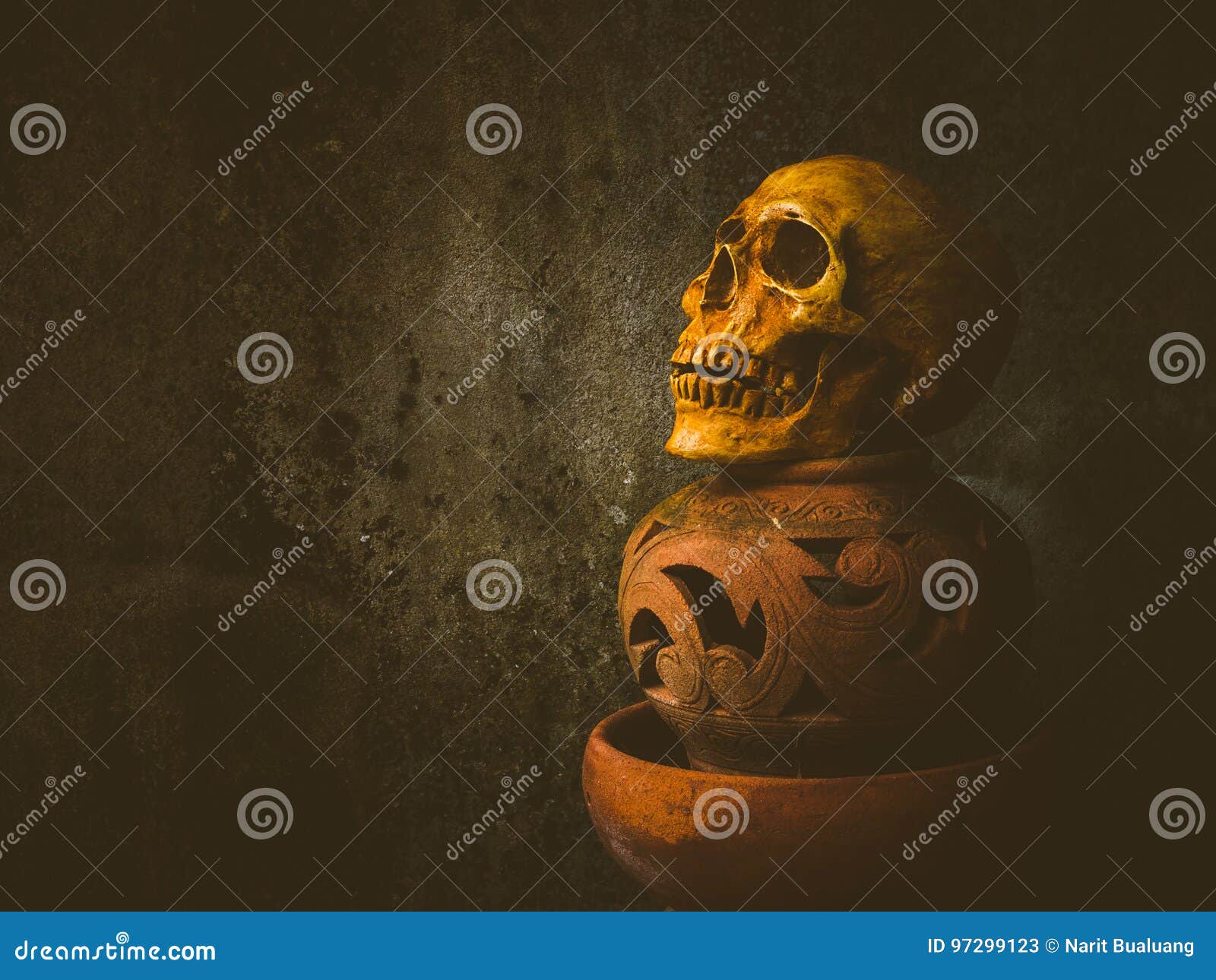 Still life art skull stock image. Image of background - 97299123