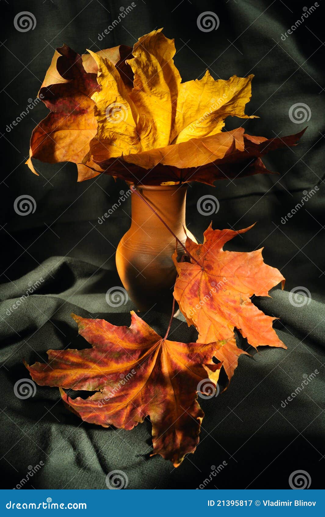 Still Life with Autumn Leaves Stock Image - Image of autumn, september ...