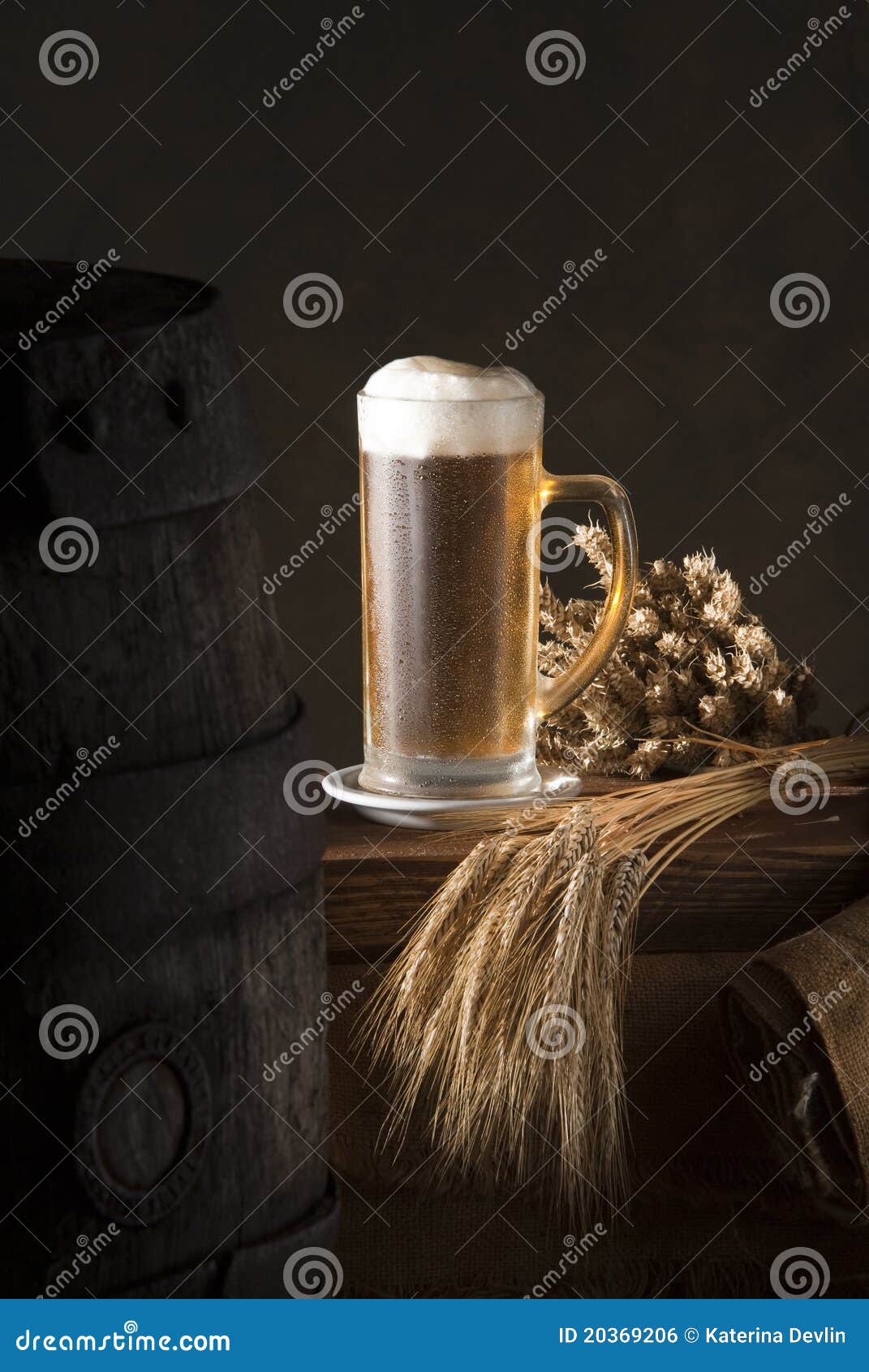 Still-life with beer stock photo. Image of bitter, ingredient - 20369206