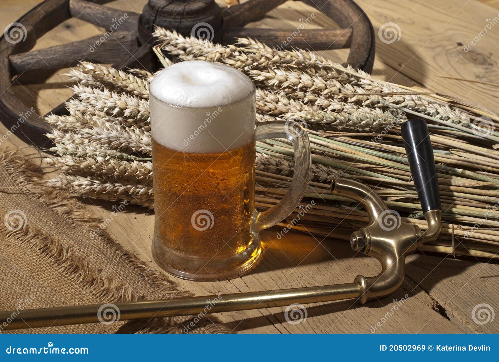 Still-life with beer stock image. Image of bitter, celebration - 20502969