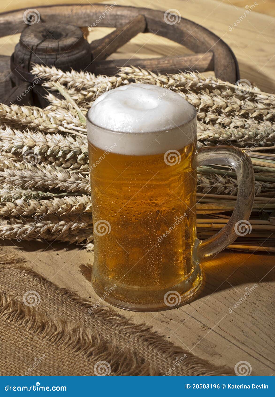 Still-life with beer stock photo. Image of brew, alcohol - 20503196