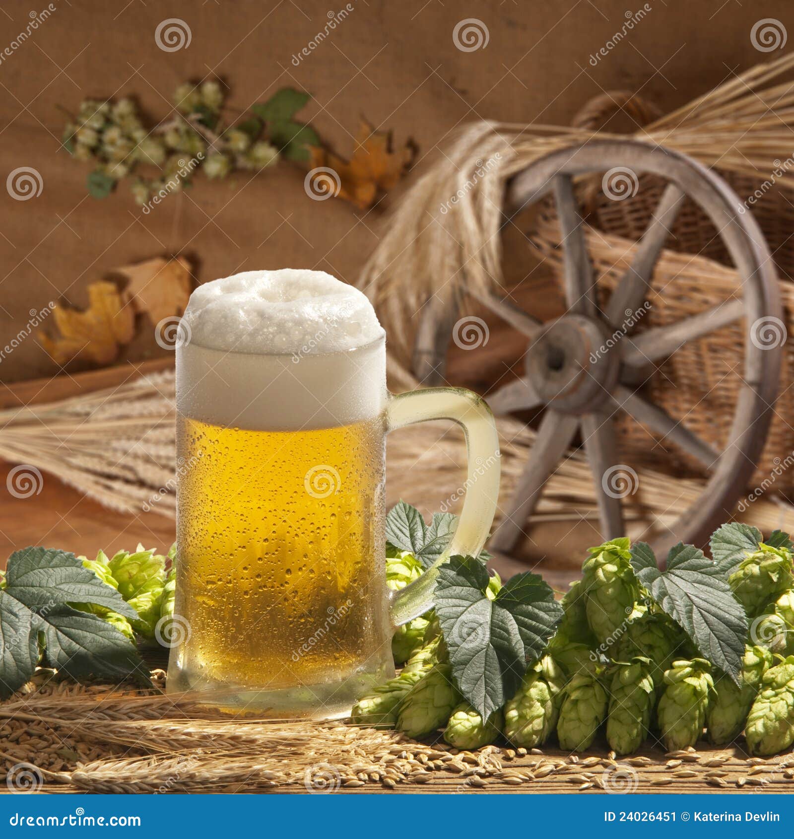 Still life with beer stock image. Image of drink, hops - 24026451