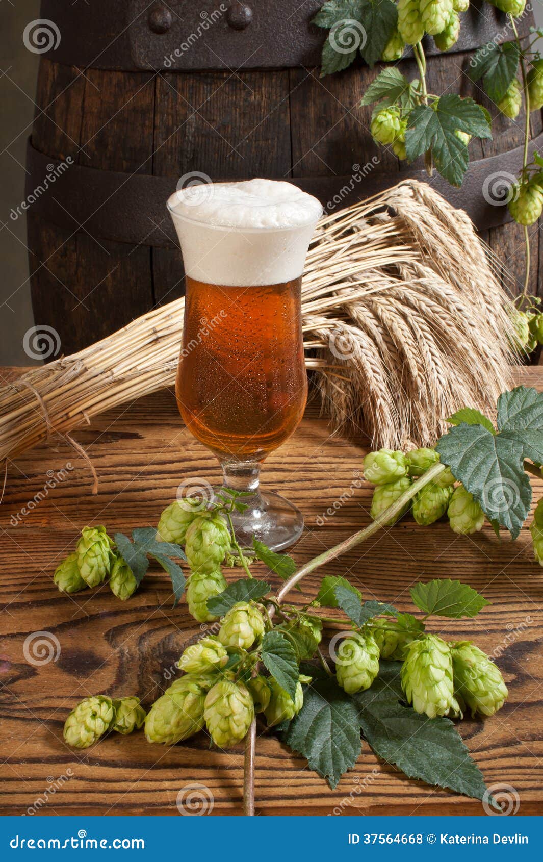 Still life with beer stock photo. Image of dewy, bitter - 37564668