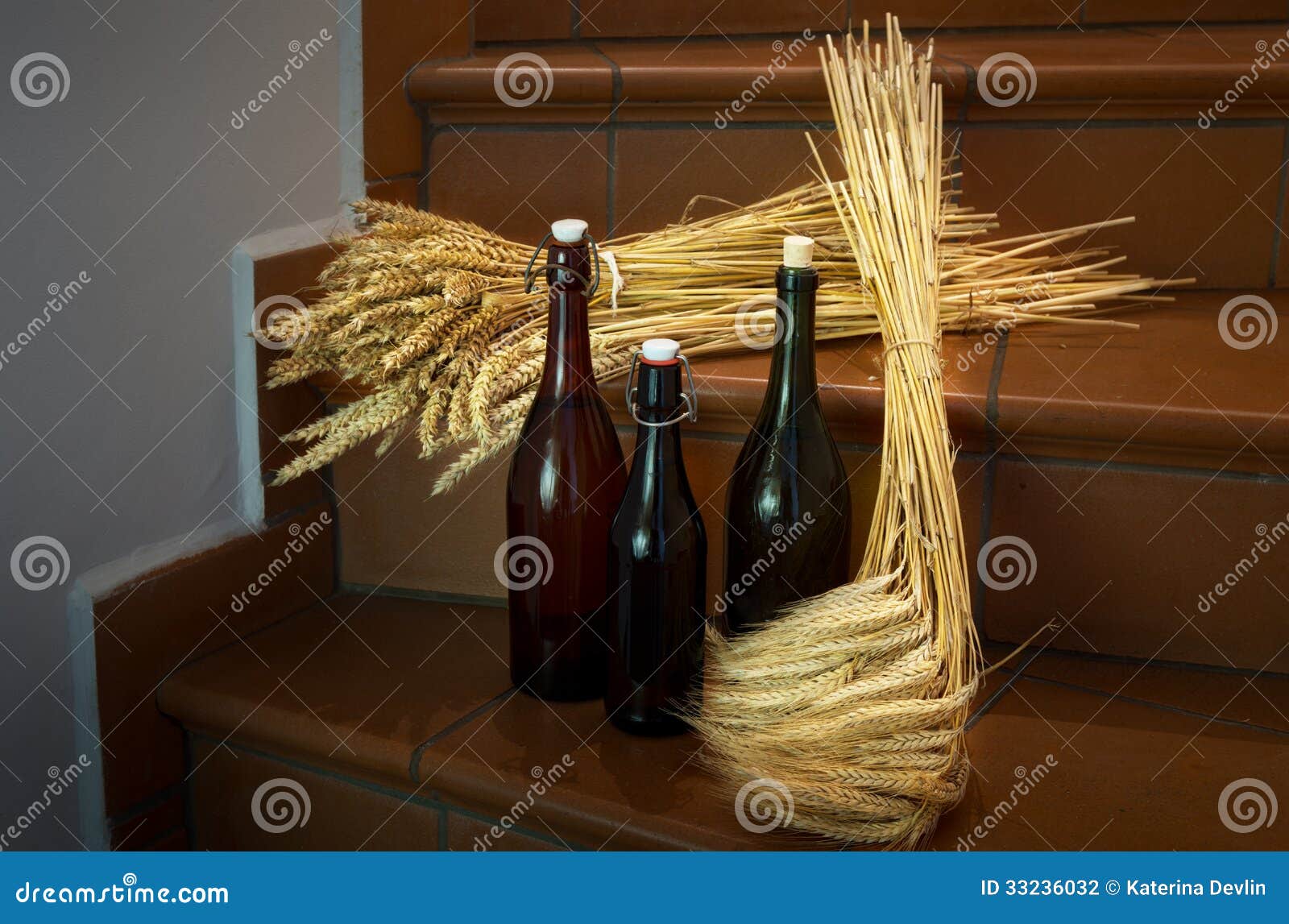 Still Life with Beer Bottles Stock Photo - Image of plant, vintage ...