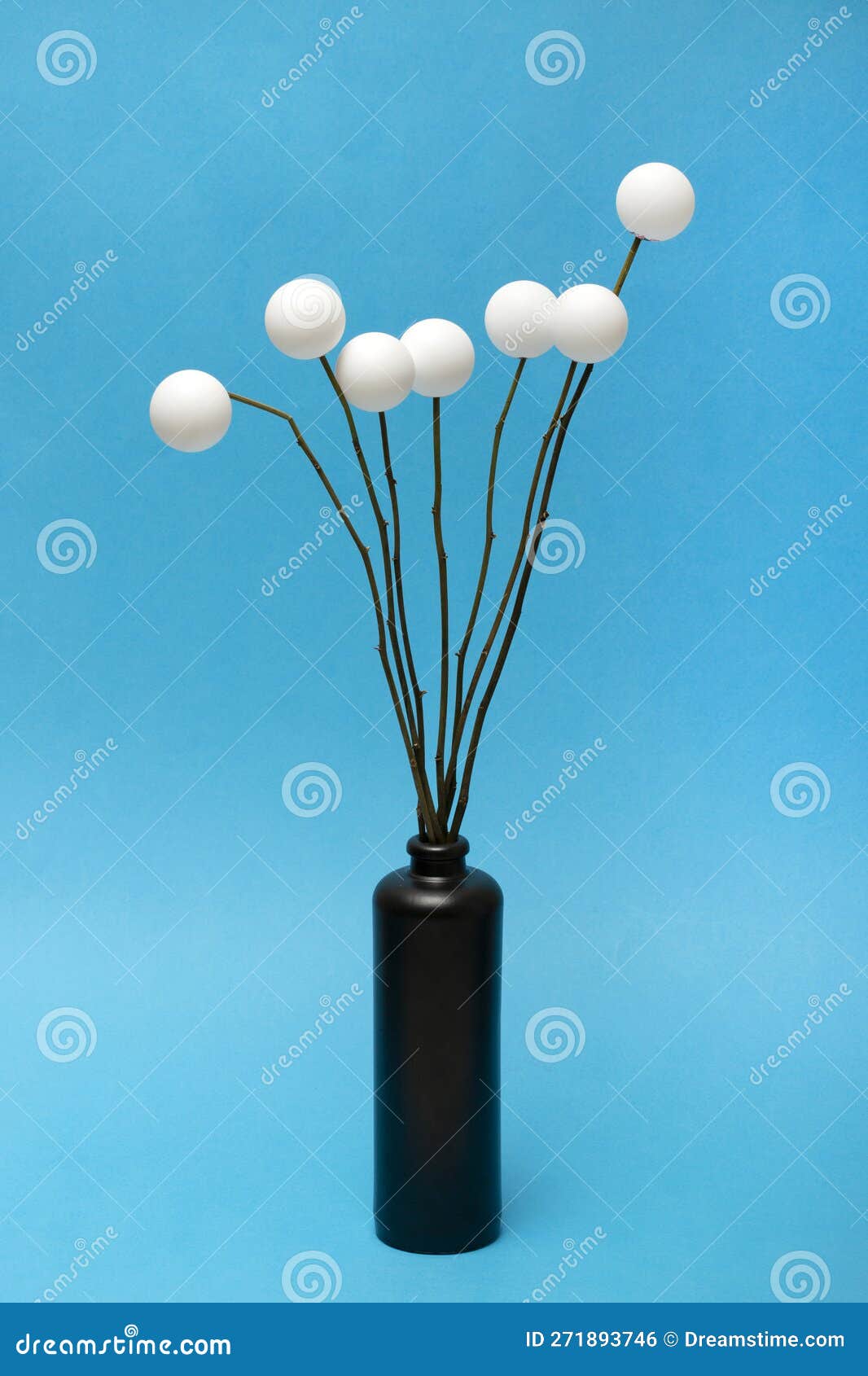 Still Life with a Bouquet of White Balls on a Blue Background Stock ...