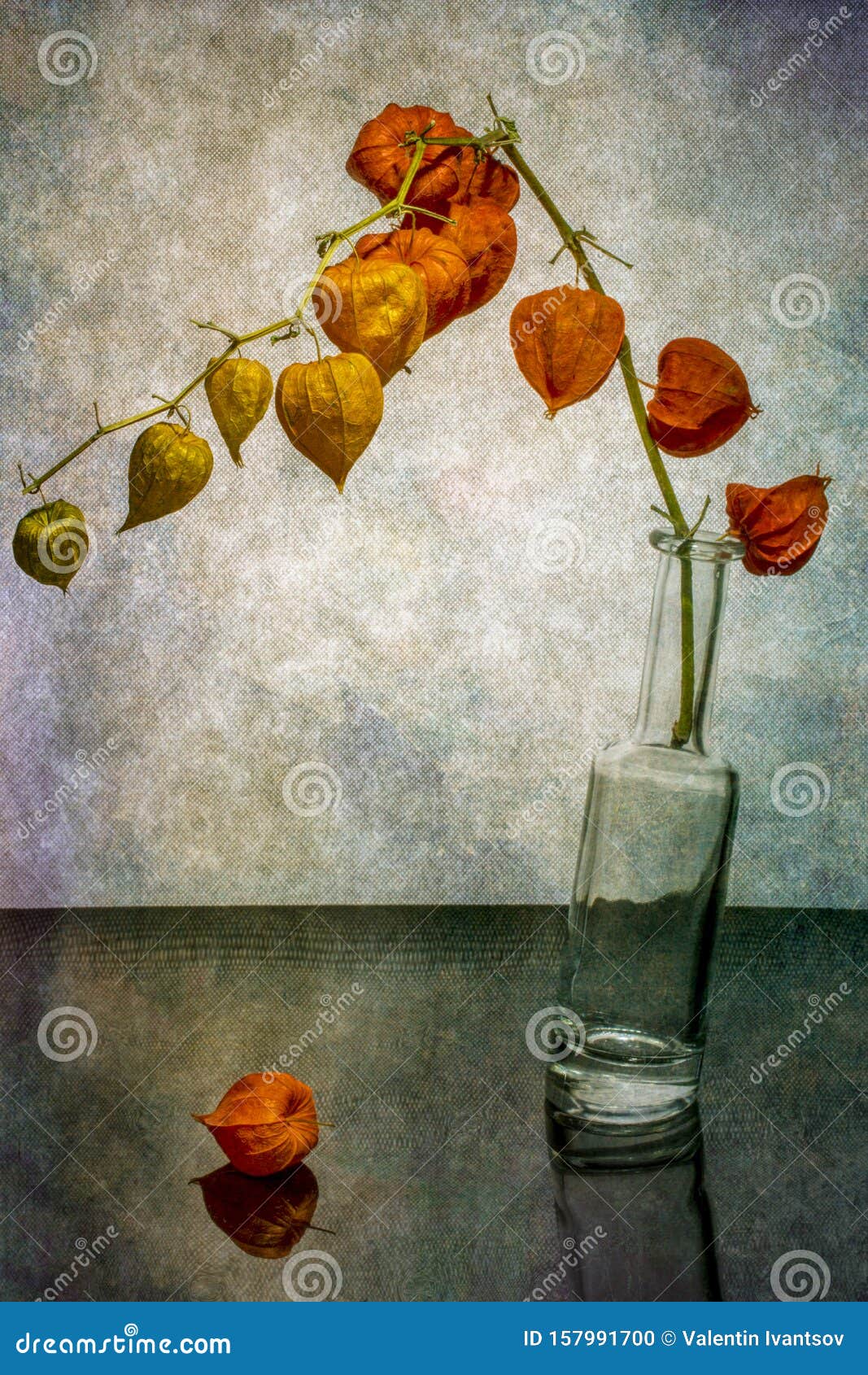 Still Life with a Branch of Physalis in a Slanted Bottle Stock Photo ...