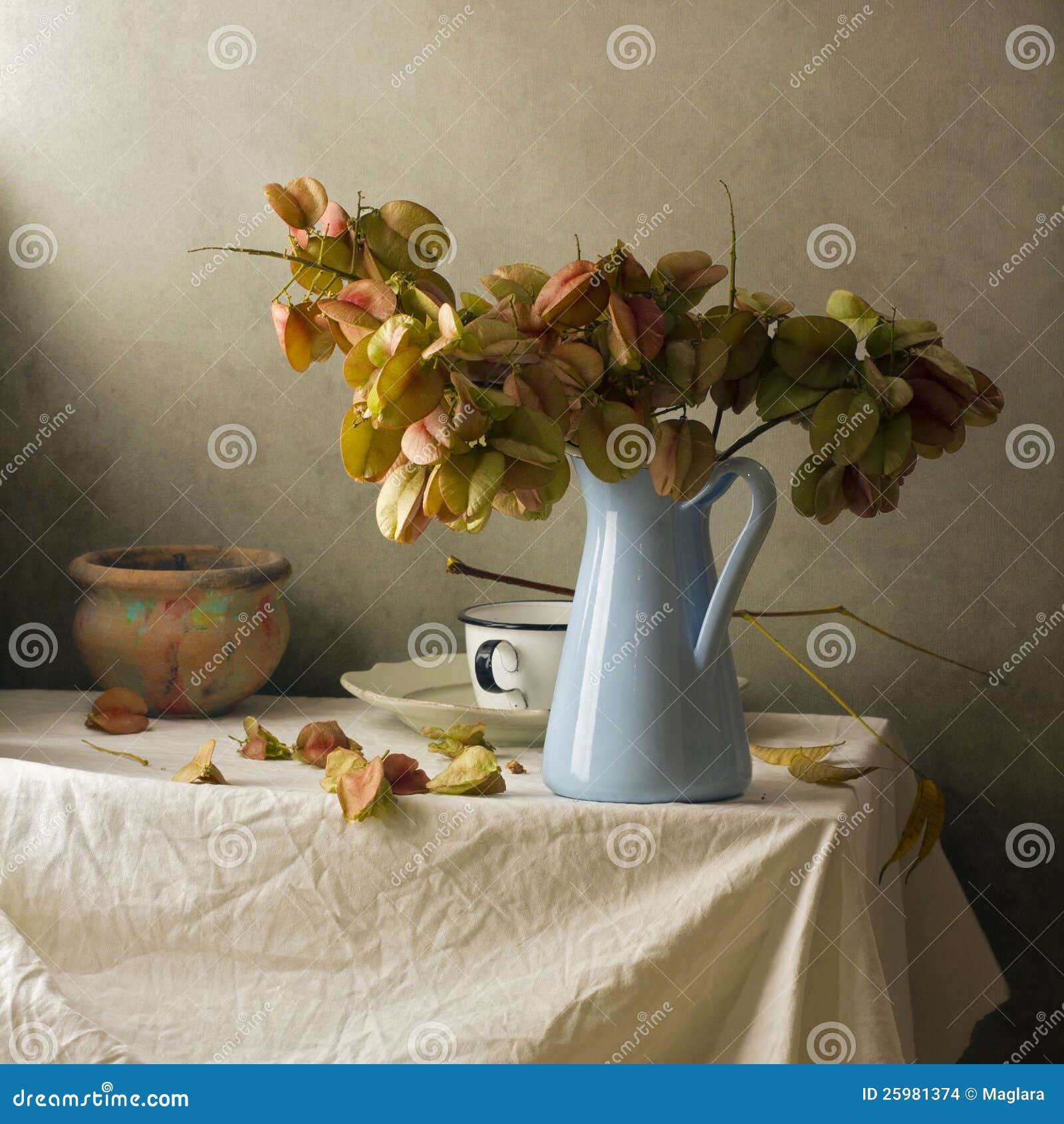 Still Life with Branches of Golden Rain Tree Stock Photo - Image of ...