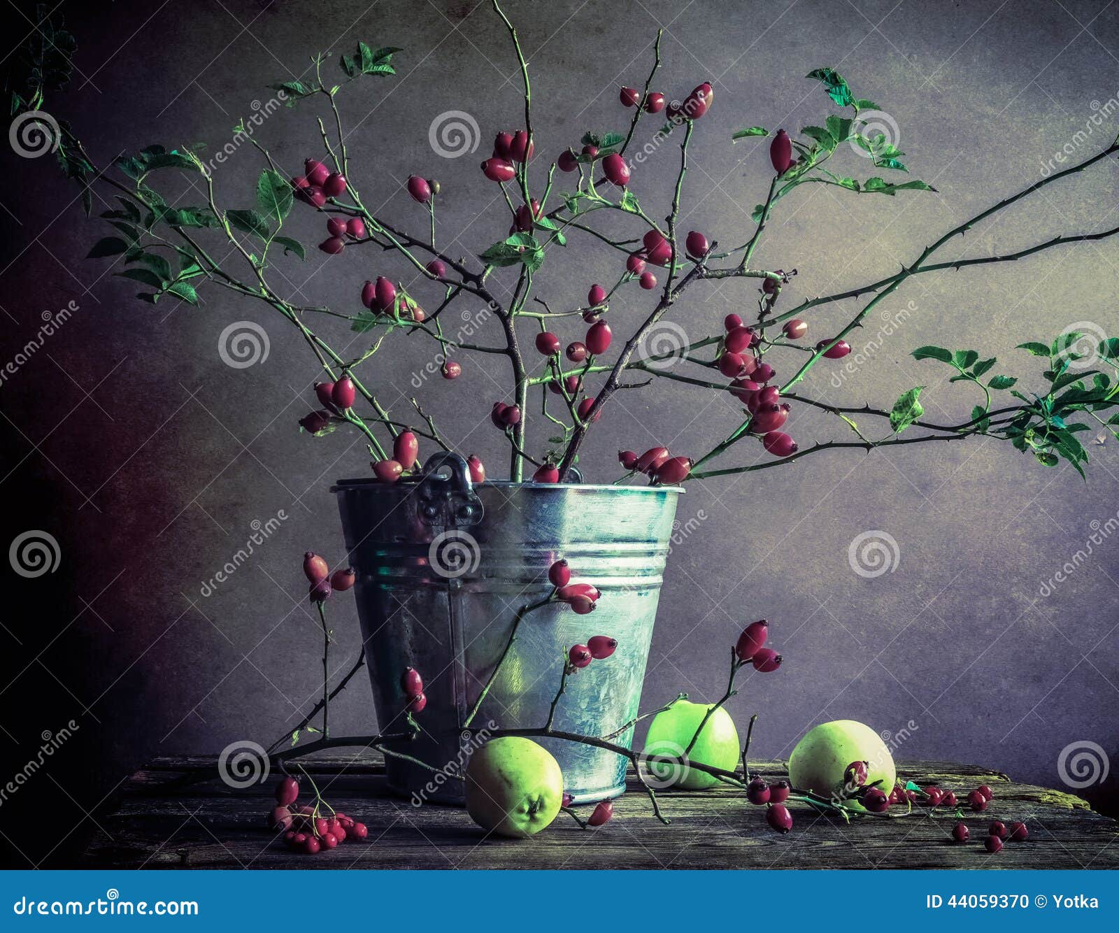 Still Life Branches Hawthorn Apples Stock Photo - Image of grunge ...