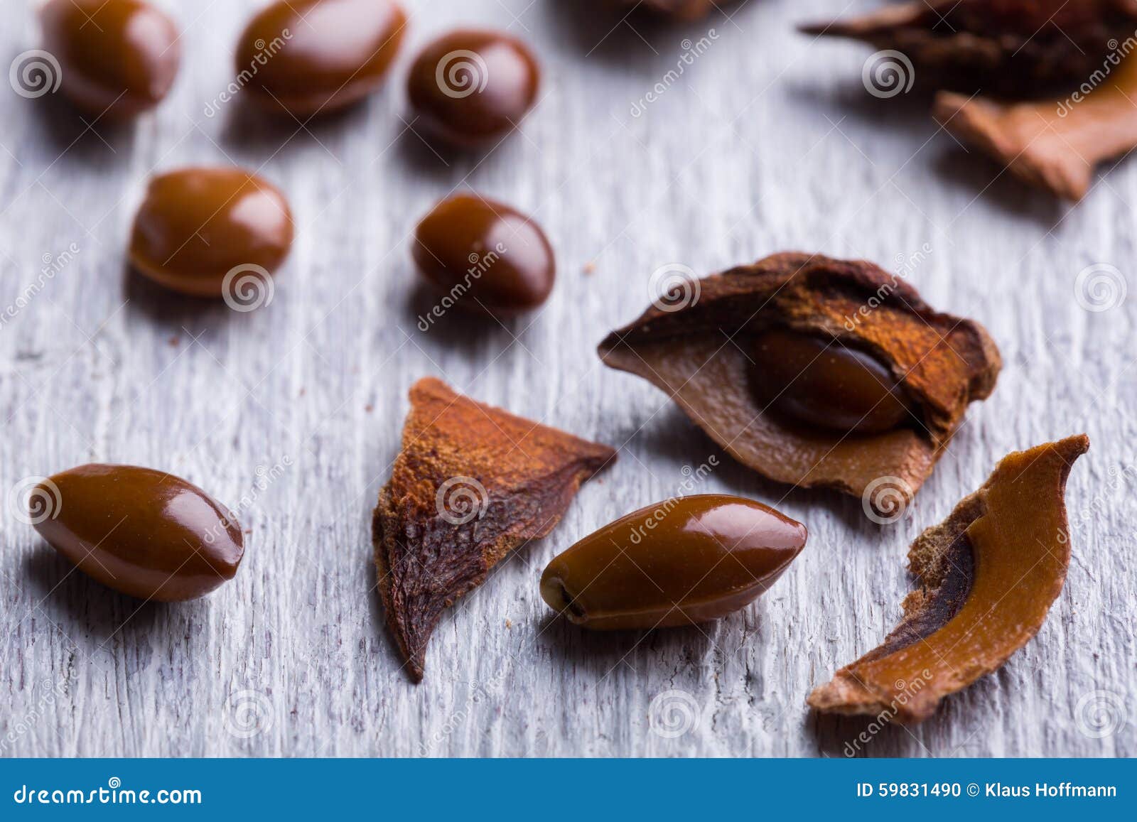 Still-Life of Broken Star Anise Stock Photo - Image of still, food ...