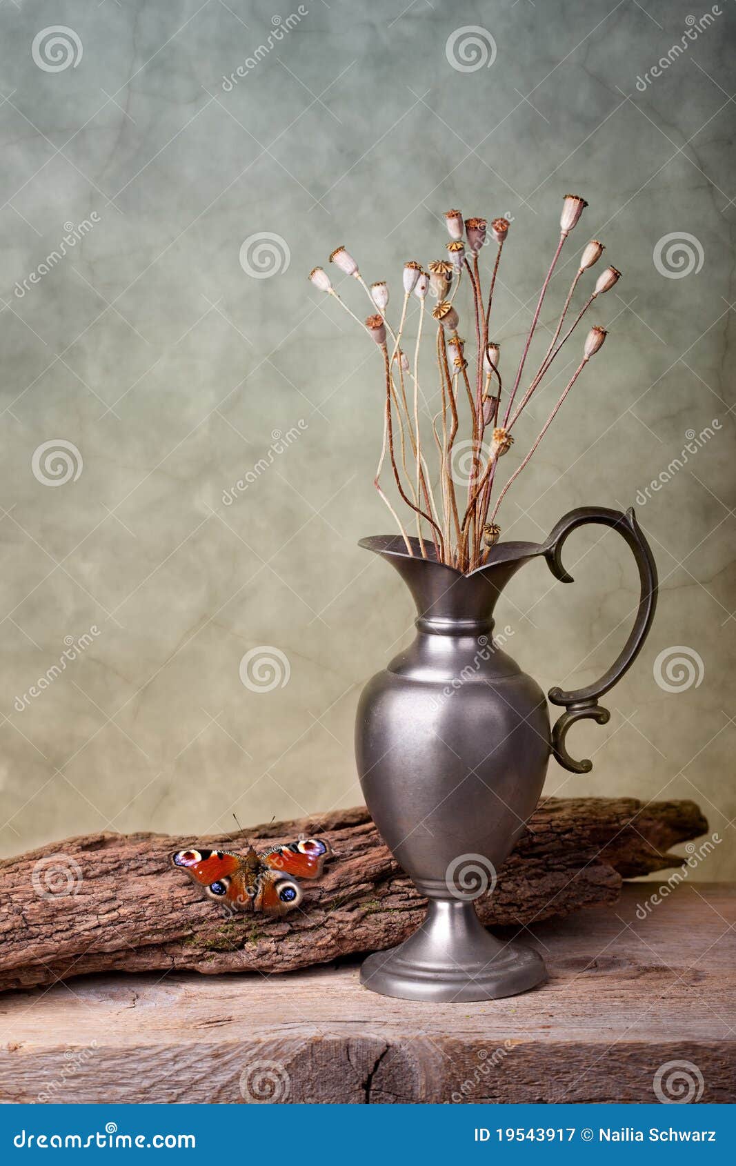Still Life with Butterfly stock image. Image of bark - 19543917