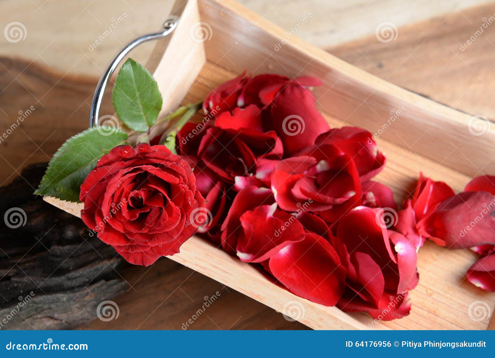 Still life of concept love stock photo. Image of life - 64176956