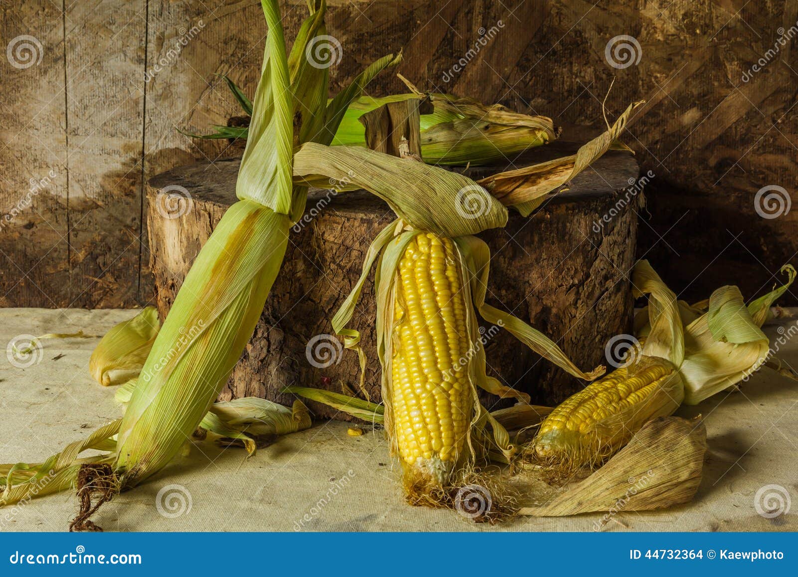 Still life with corn stock photo. Image of leaf, green - 44732364