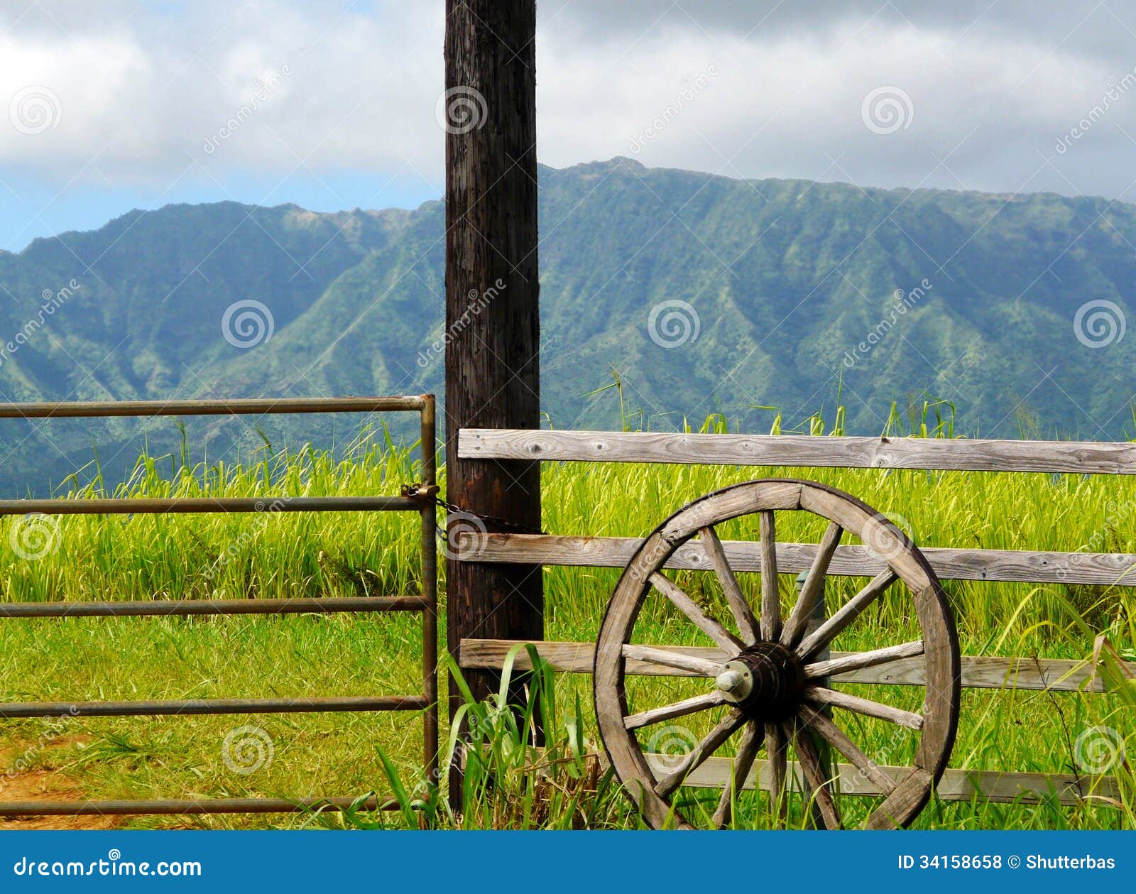 Still life at countryside stock photo. Image of landscape - 34158658
