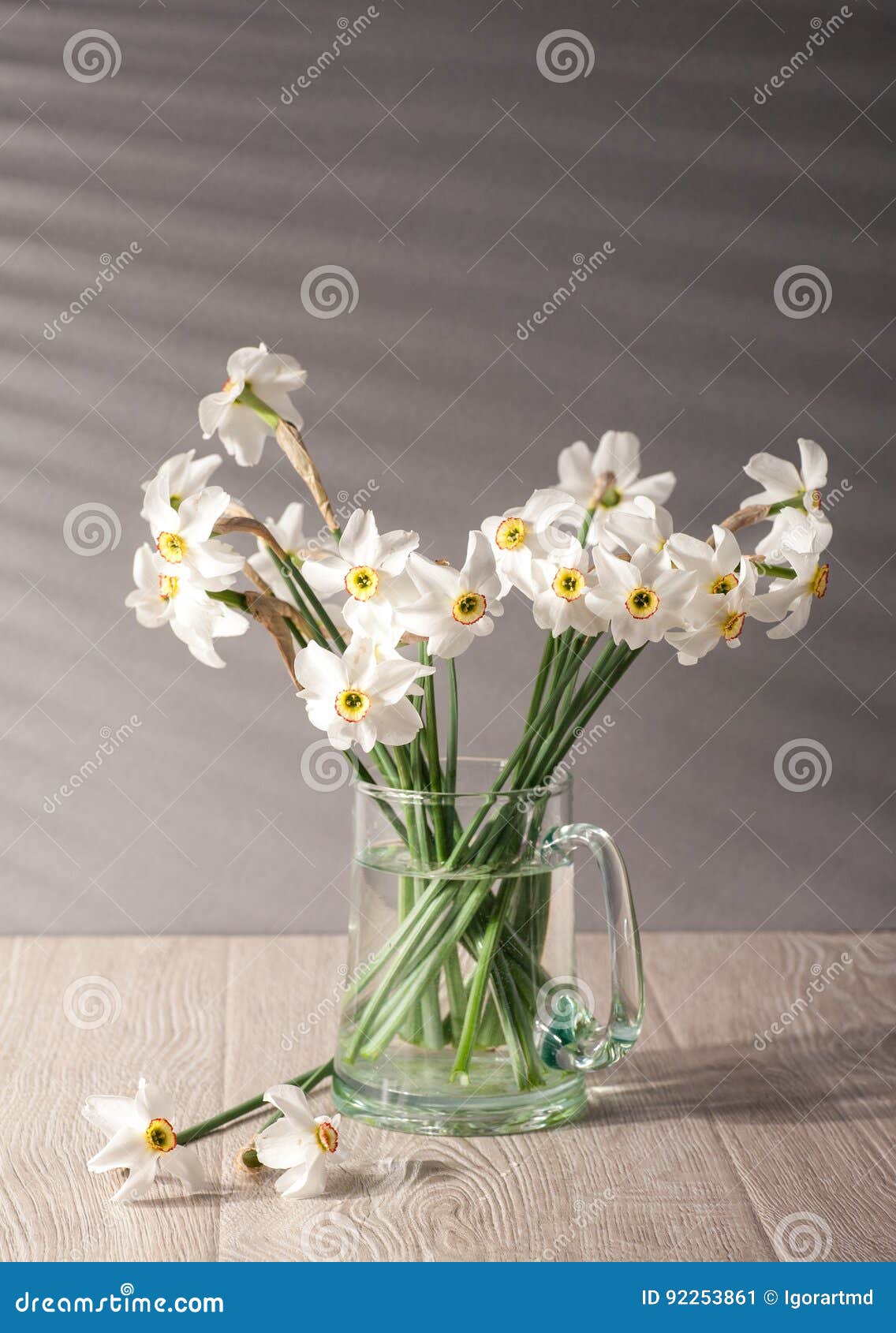 Still life with daffodils stock image. Image of background - 92253861
