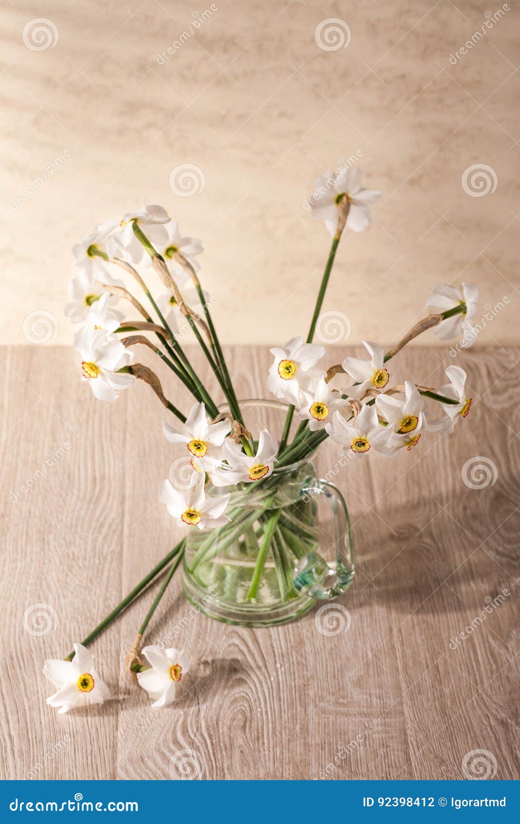 Still life with daffodils stock photo. Image of narcissus - 92398412
