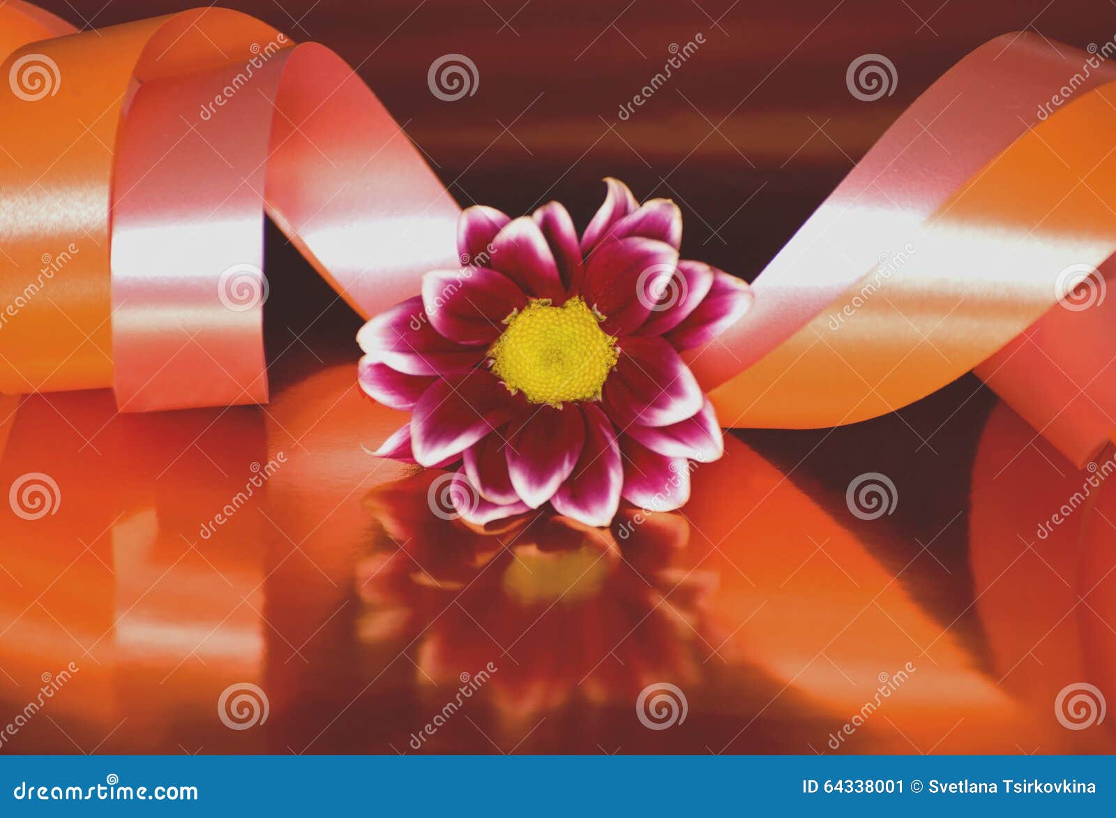 Still Life of Dahlia and Colored Ribbons Stock Image - Image of yellow ...