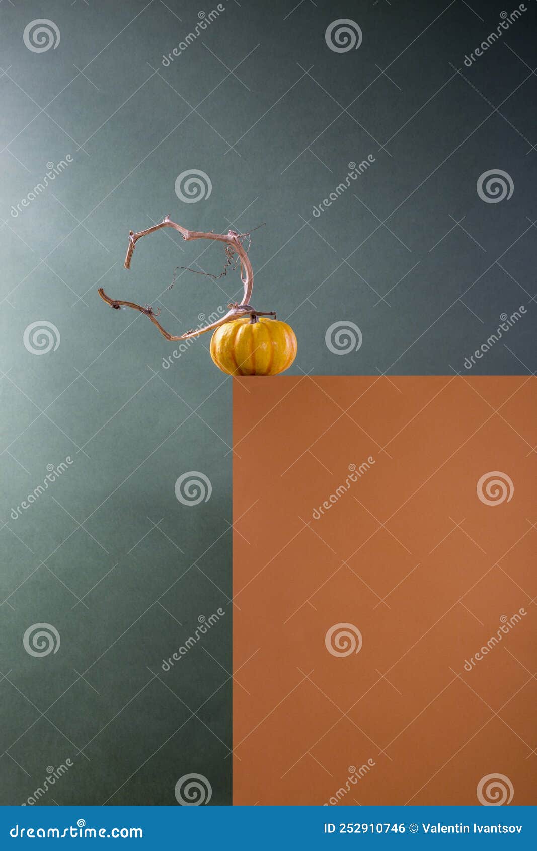 Still Life with a Decorative Pumpkin on a Rectangular Figure Stock ...