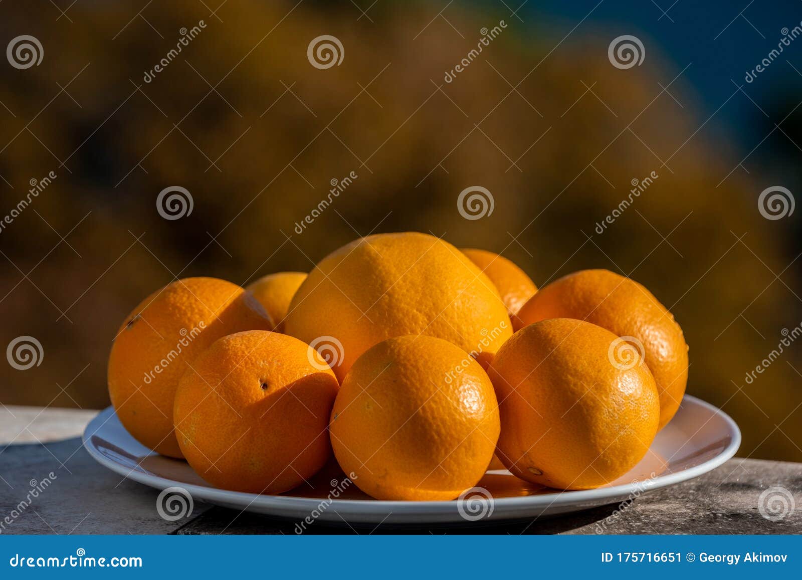 Still Life Eight Oranges with Water Drops on White Plate Stock Image ...