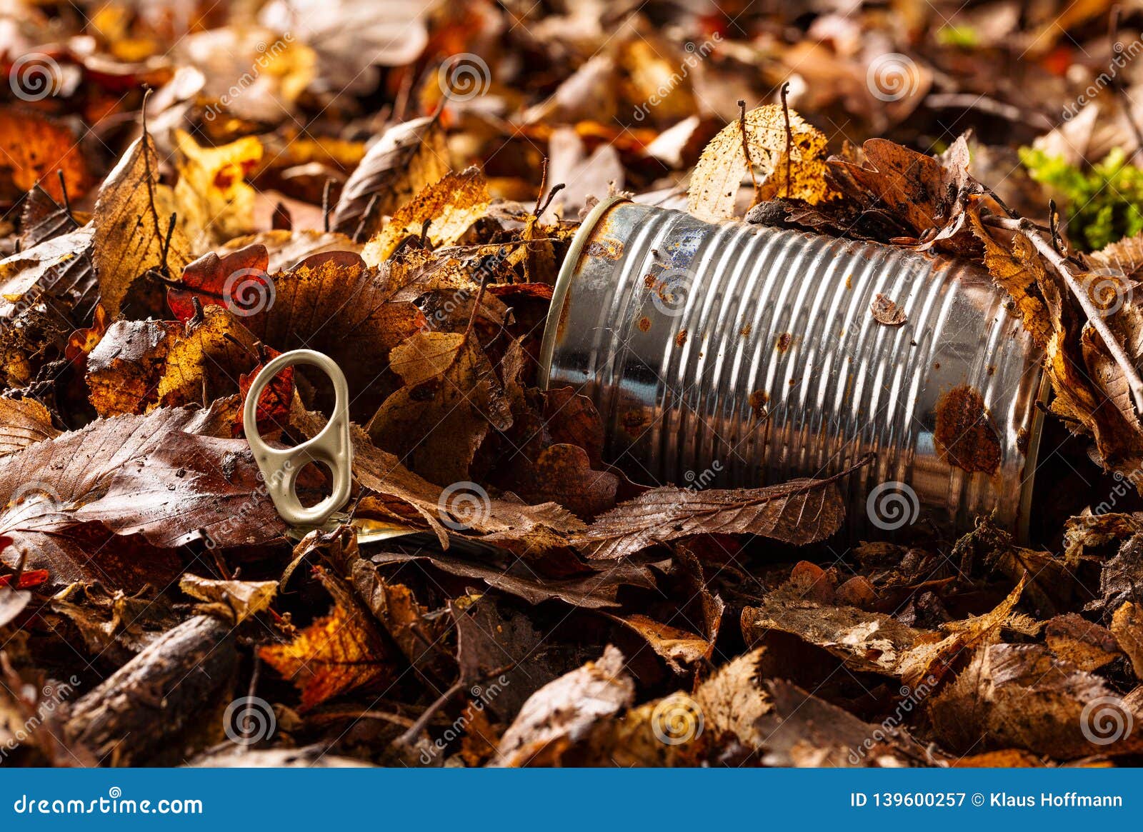 Tin Can Waste on Forest Floor Closeup Stock Image - Image of dirty ...