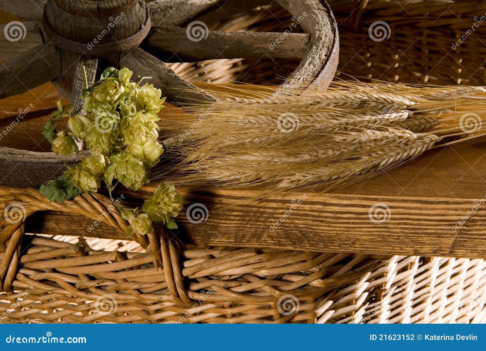 Still life with felloe stock photo. Image of cone, life - 21623152