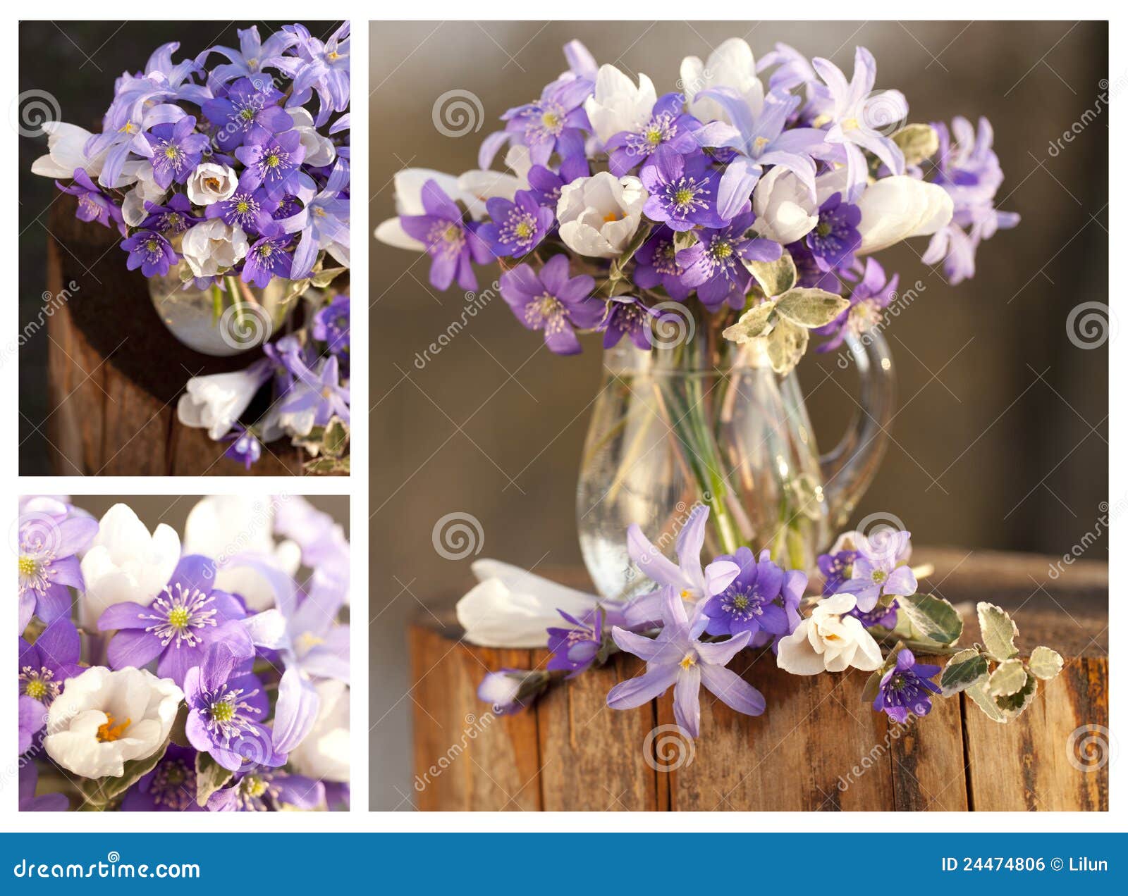 Still-life Flowers Forest - Collage Stock Photo - Image of drop, panel ...