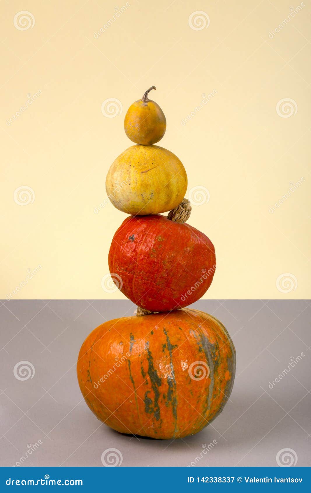 Still Life with Four Pumpkins Stock Image - Image of position, color ...
