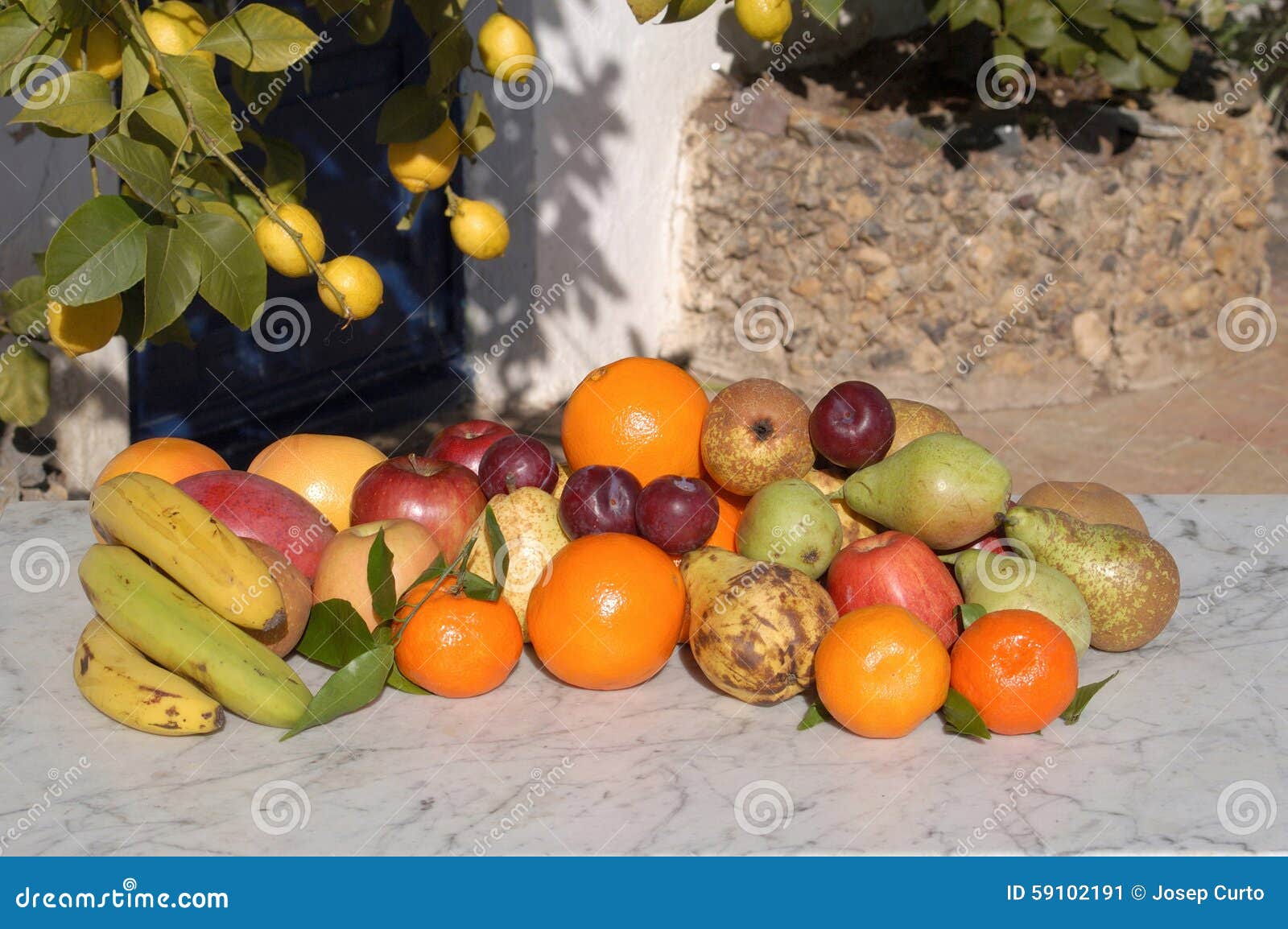 Still Life of Fruit with Sunlight Outside, Stock Image - Image of ...