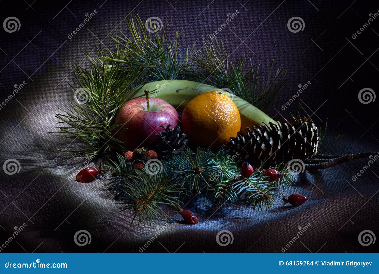 Still life stock photo. Image of berries, pine, pinecone - 68159284