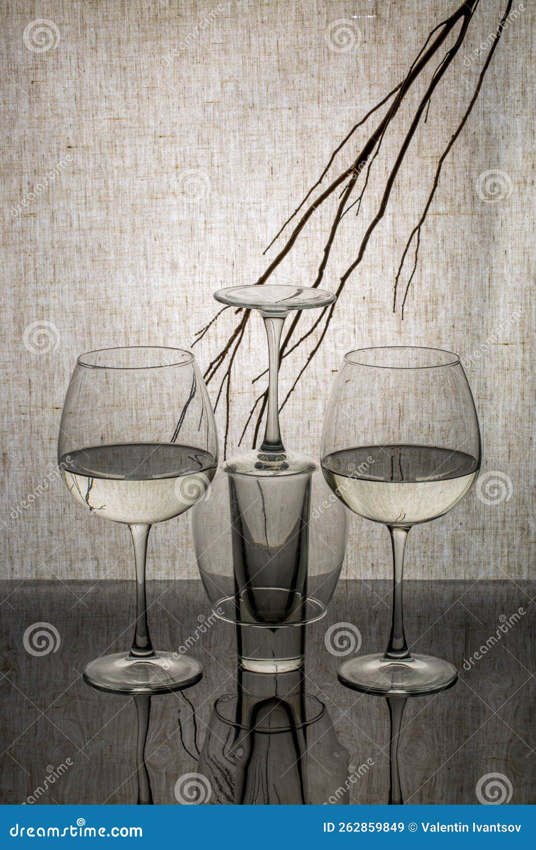 Still Life with Glass Objects and a Branch Stock Image - Image of ...