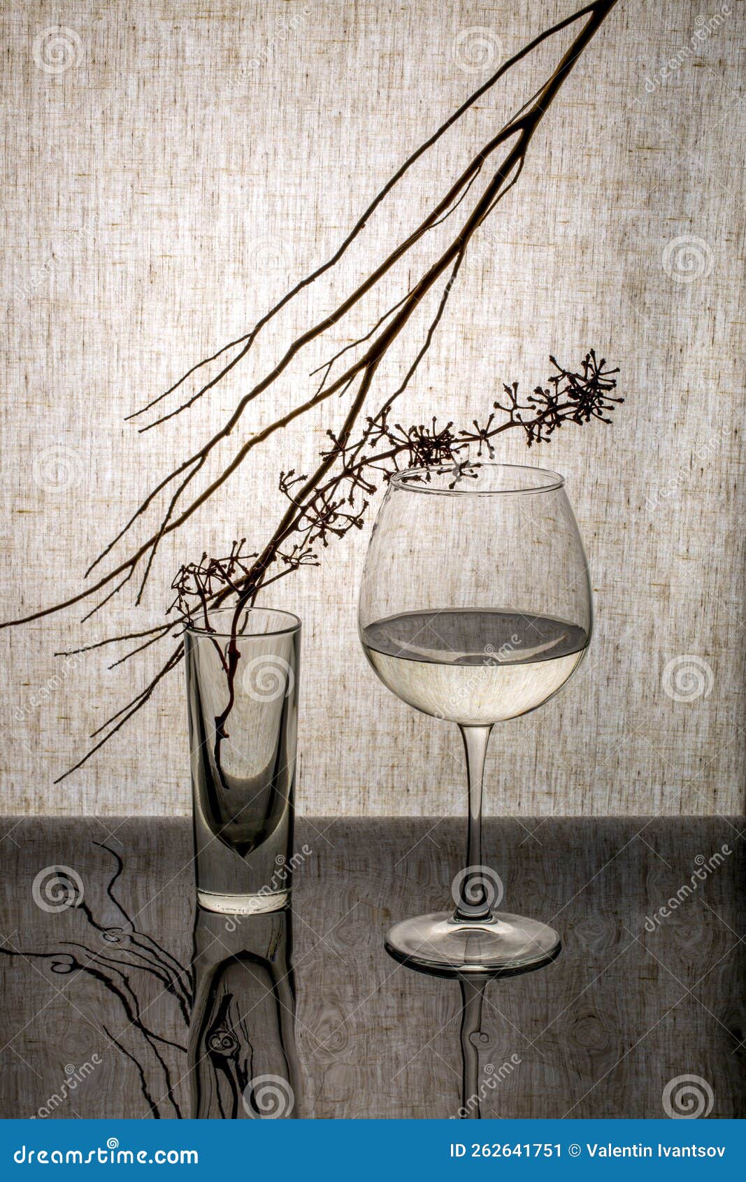 Still Life with Glass Objects and a Branch Stock Image - Image of ...