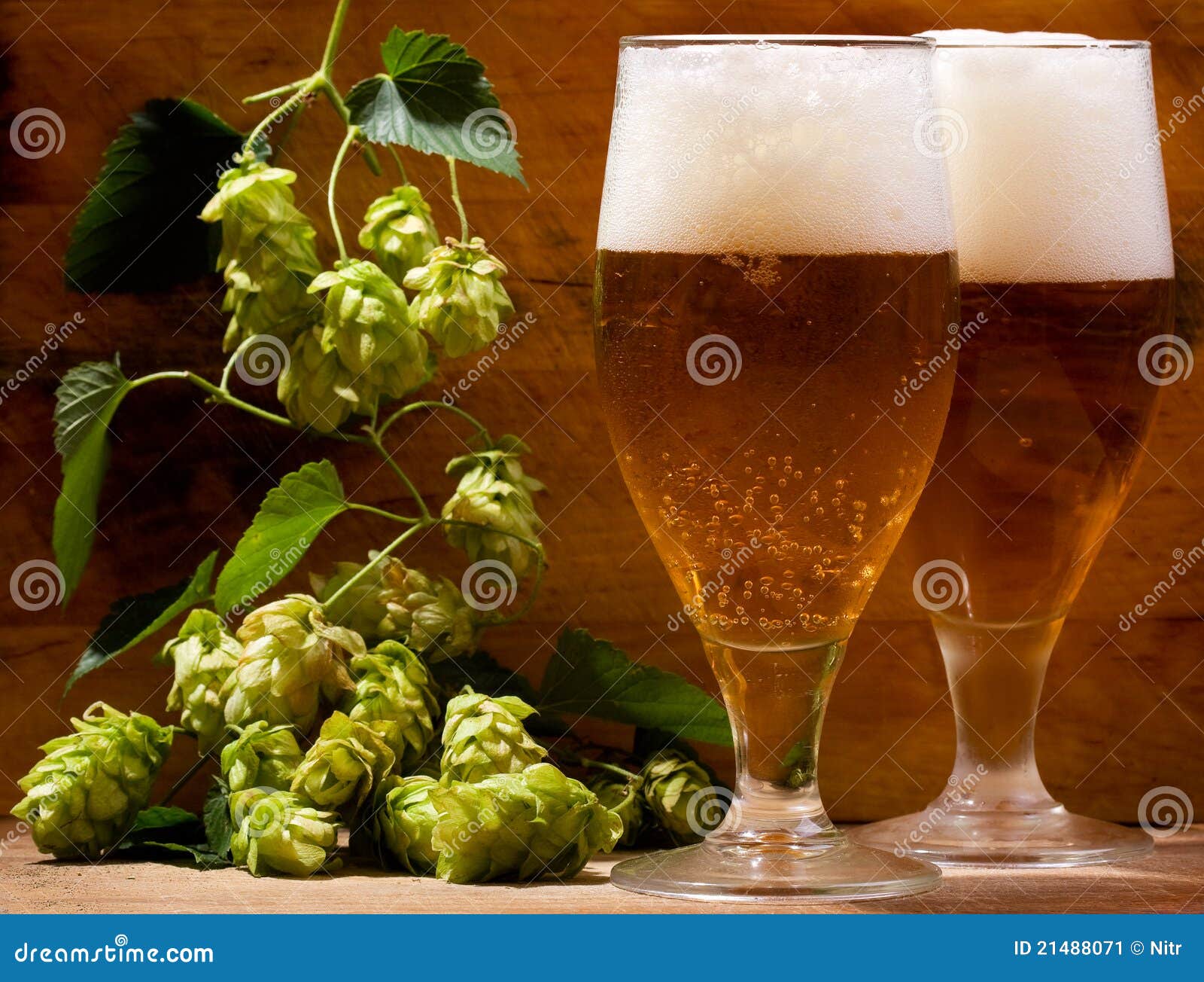 Still Life with Glasses of Beer Stock Image - Image of drop, water ...