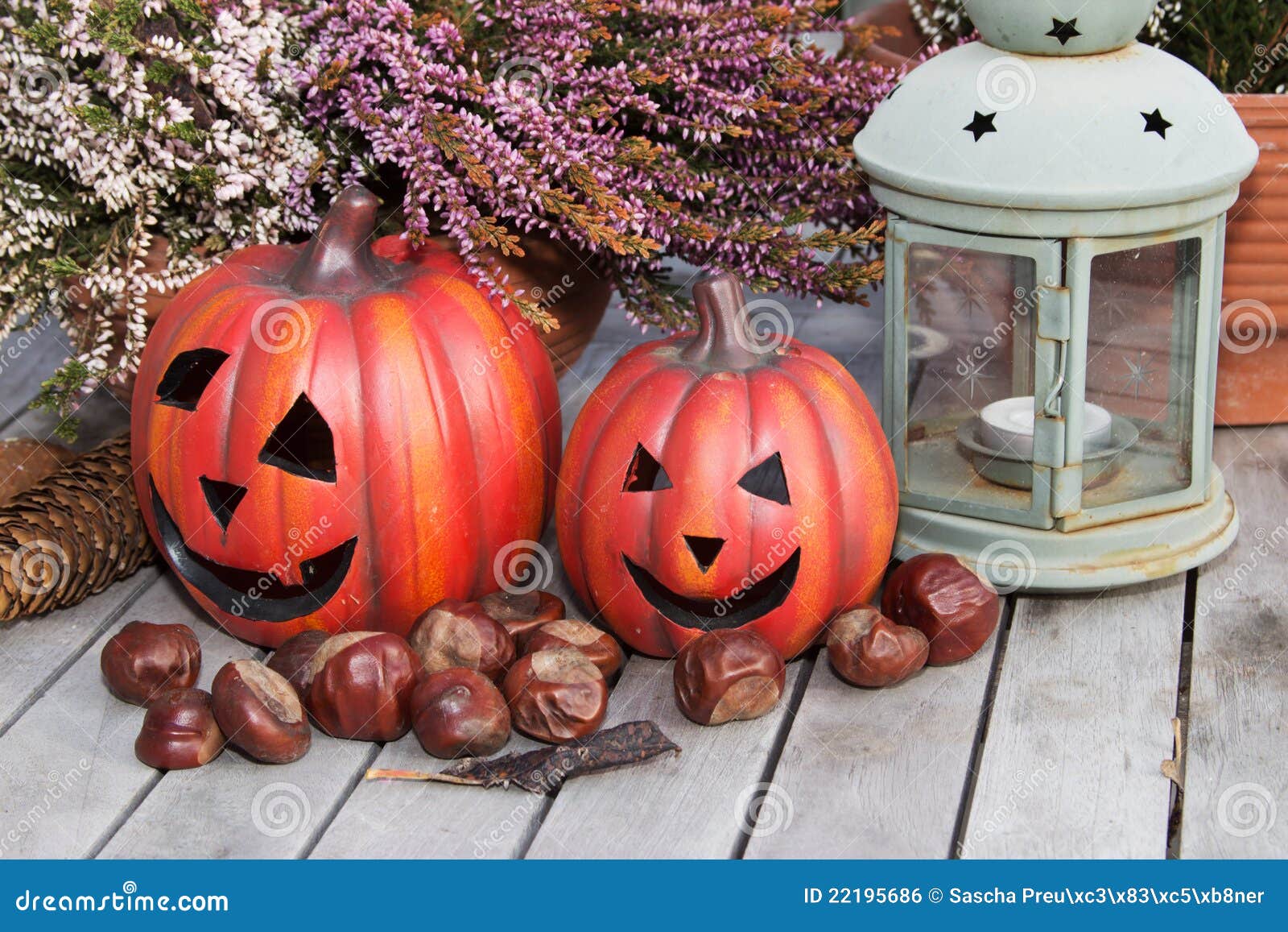 Still life Halloween stock photo. Image of autumn, pumpkin - 22195686