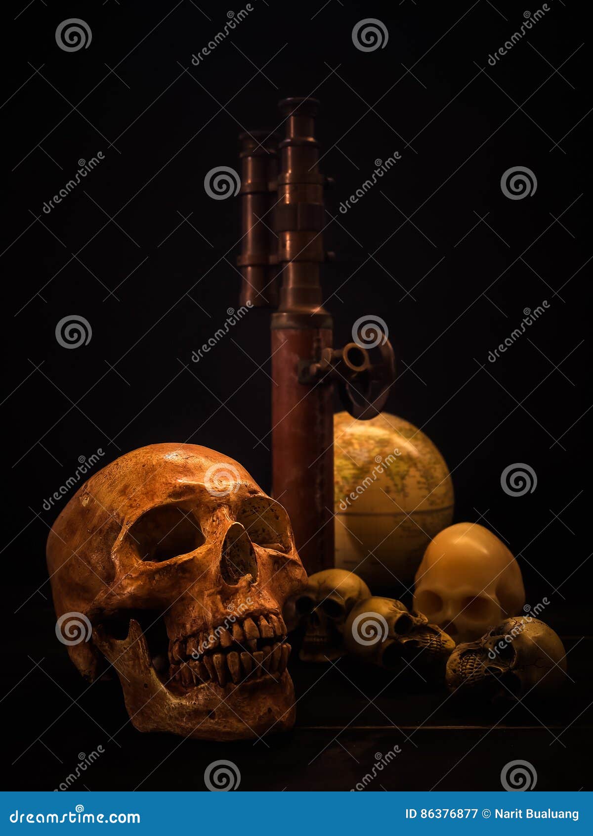 Still life skull stock image. Image of antique, abstract - 86376877