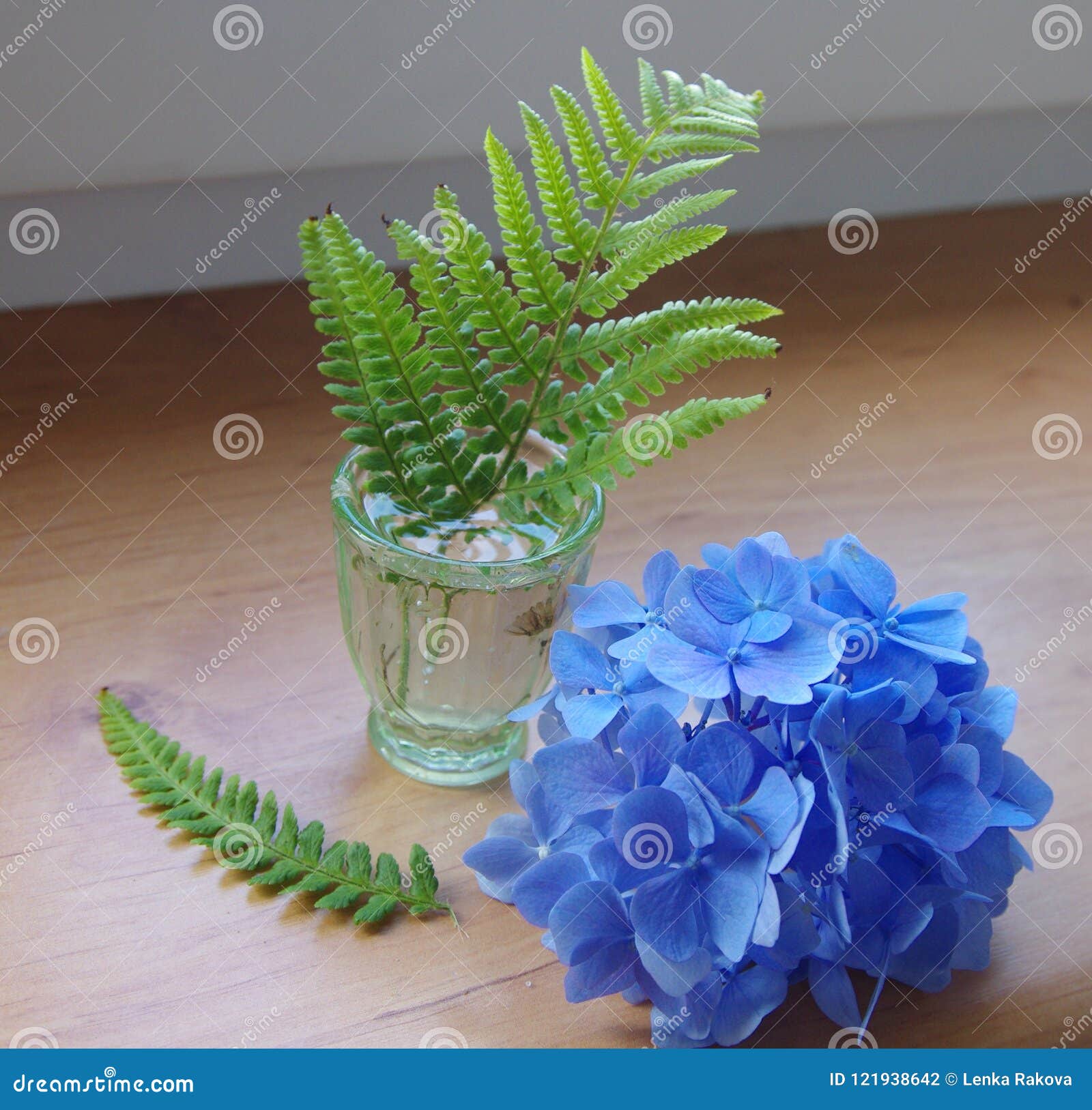 Still Life with Hydrangeas and Ferns Stock Photo - Image of plants ...