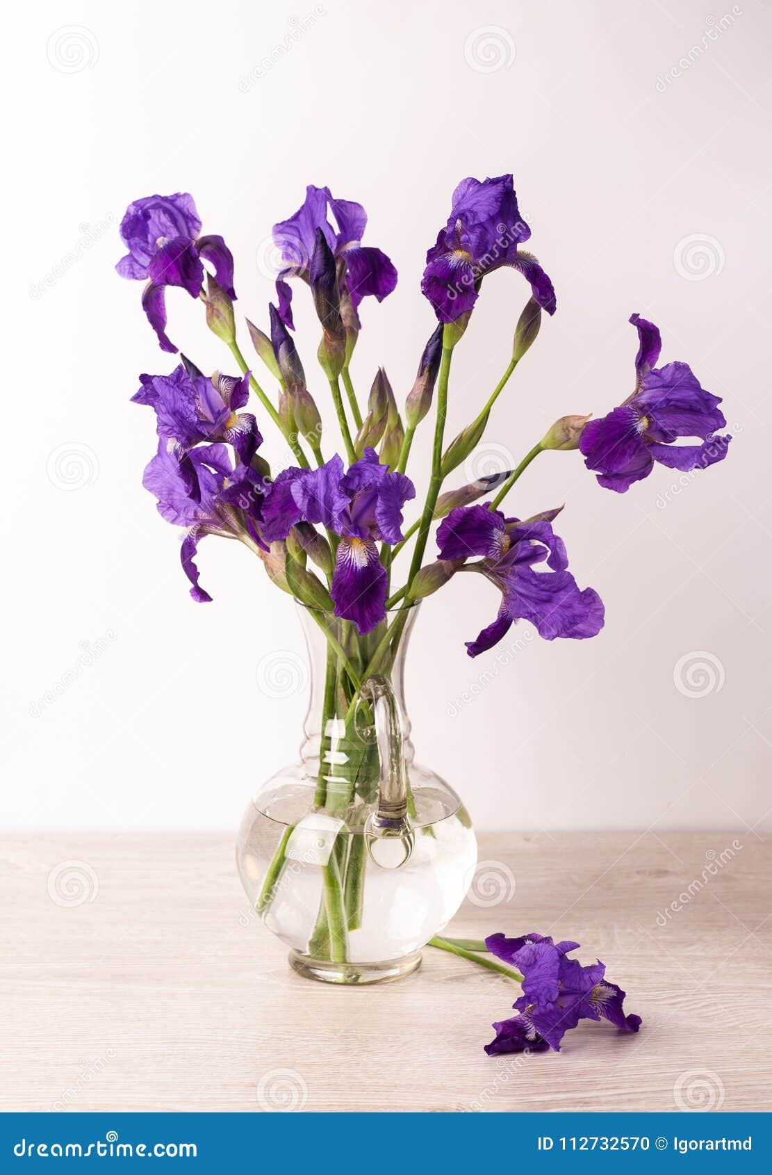 Still life with iris stock photo. Image of nature, card - 112732570