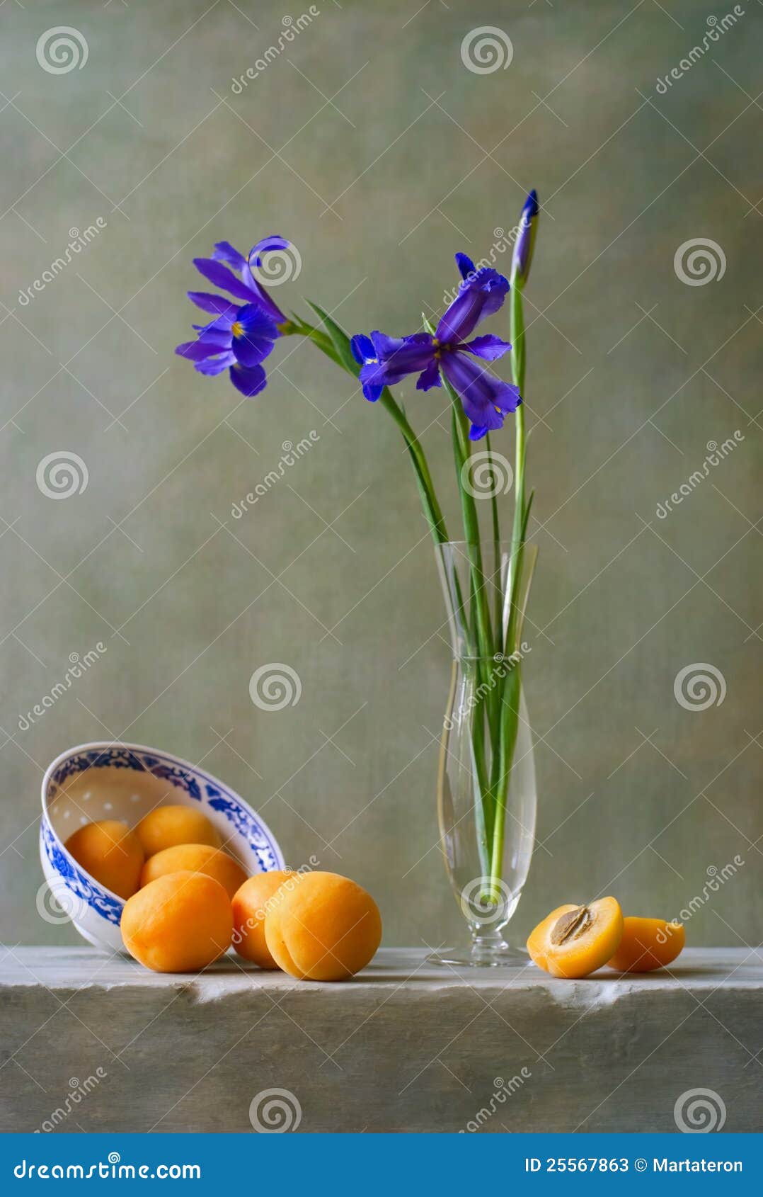 Still life with irises stock image. Image of vase, fruit - 25567863