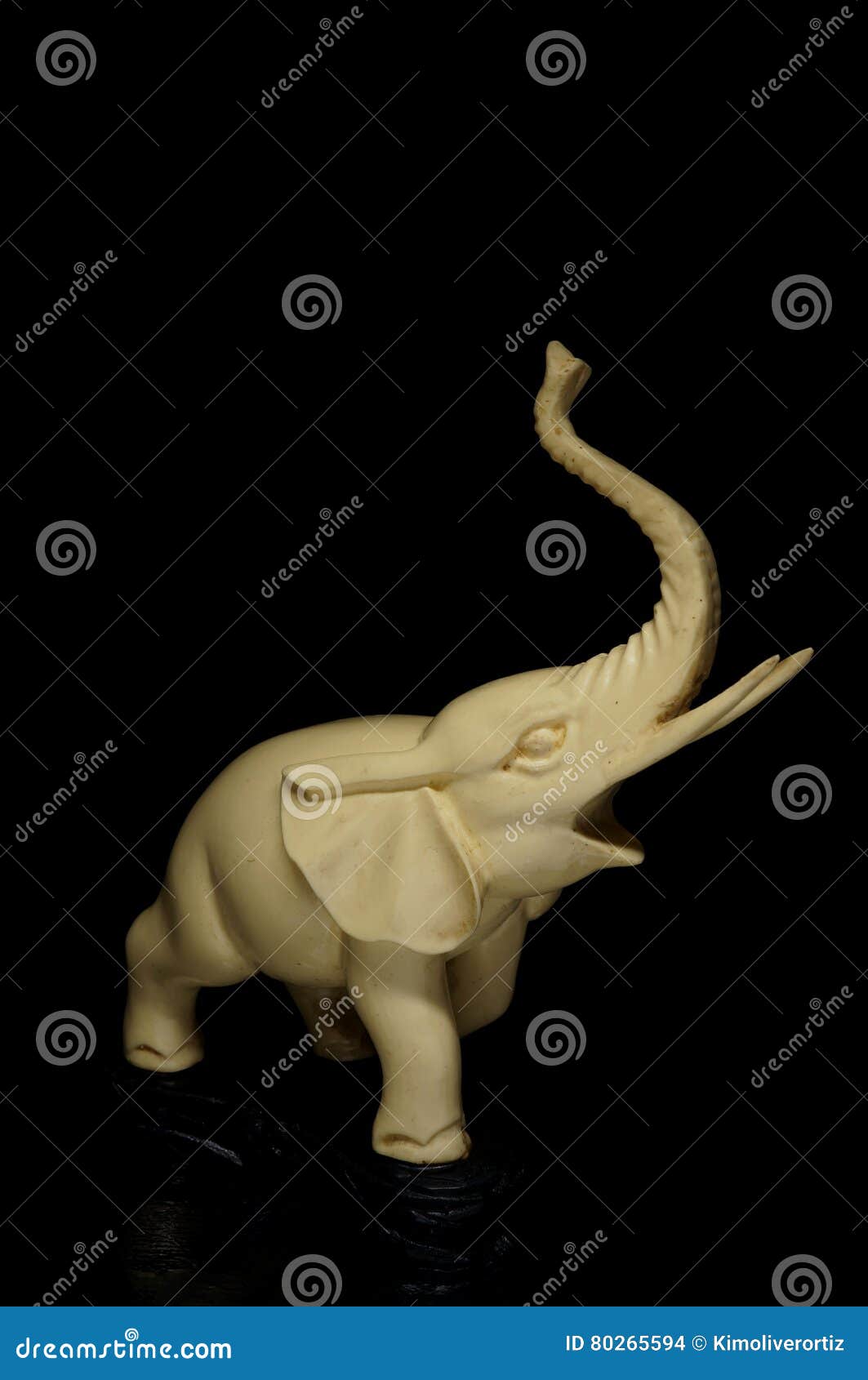 Still life in a light box stock photo. Image of elephant - 80265594