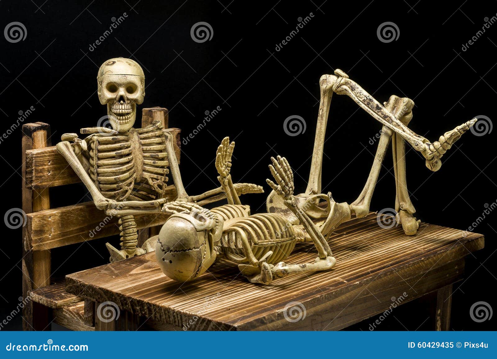 Still Life of Model Skeleton in Halloween Concept Stock Image - Image ...