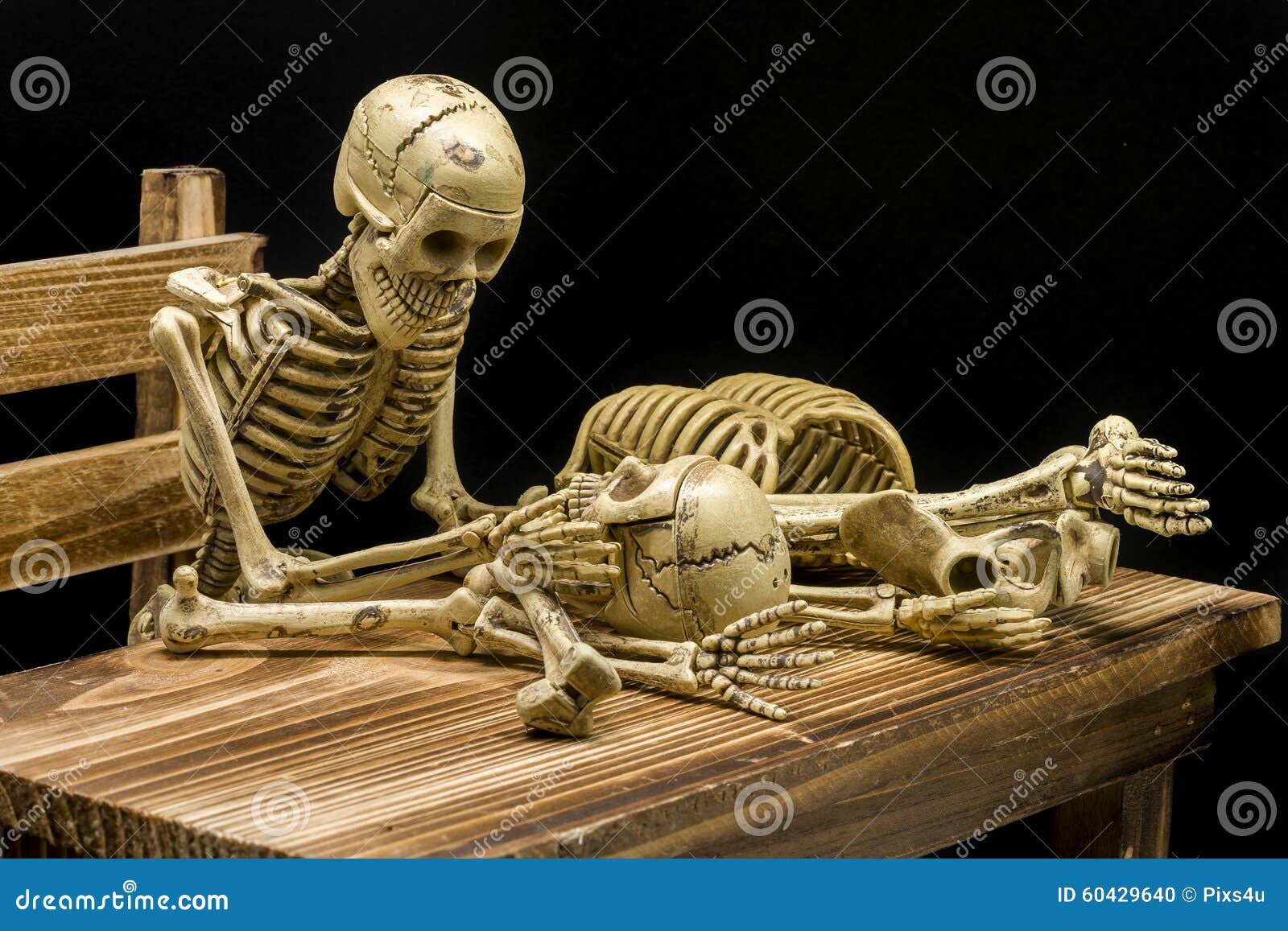 Still Life of Model Skeleton in Halloween Concept Stock Photo - Image ...