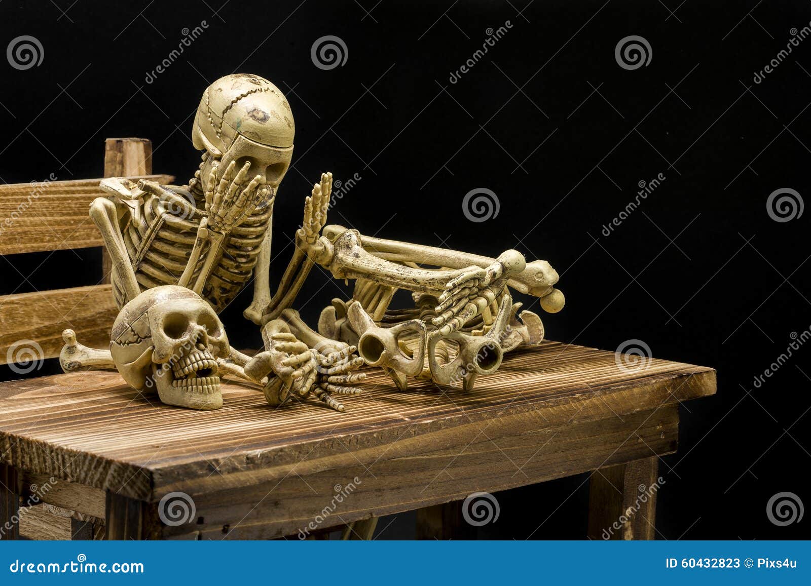 Still Life of Model Skeleton in Halloween Concept Stock Image - Image ...