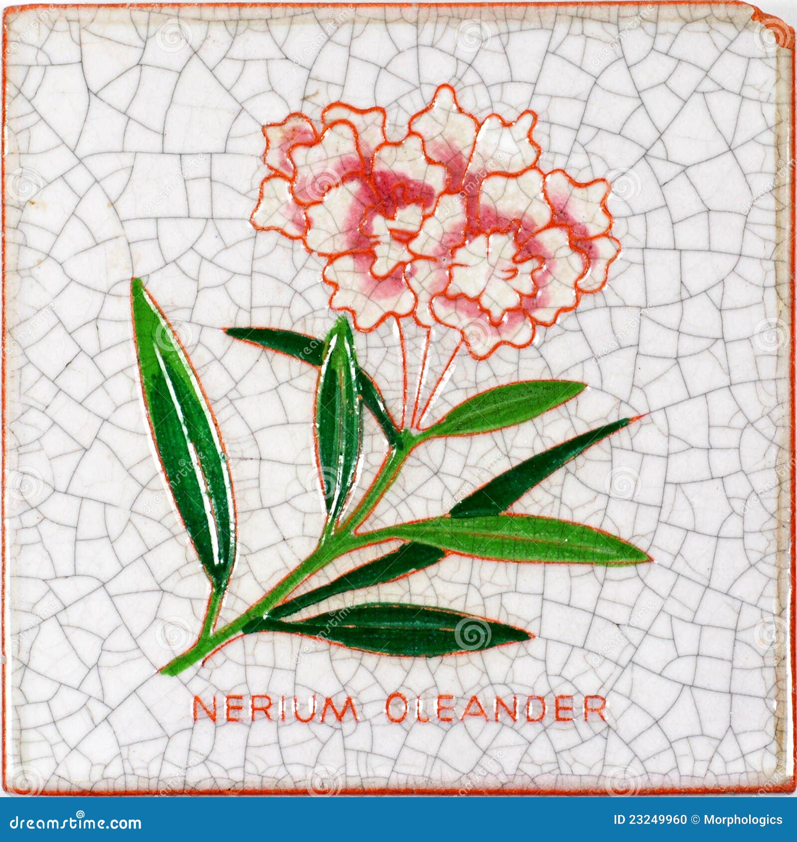 Still life objects stock photo. Image of pattern, beauty - 23249960