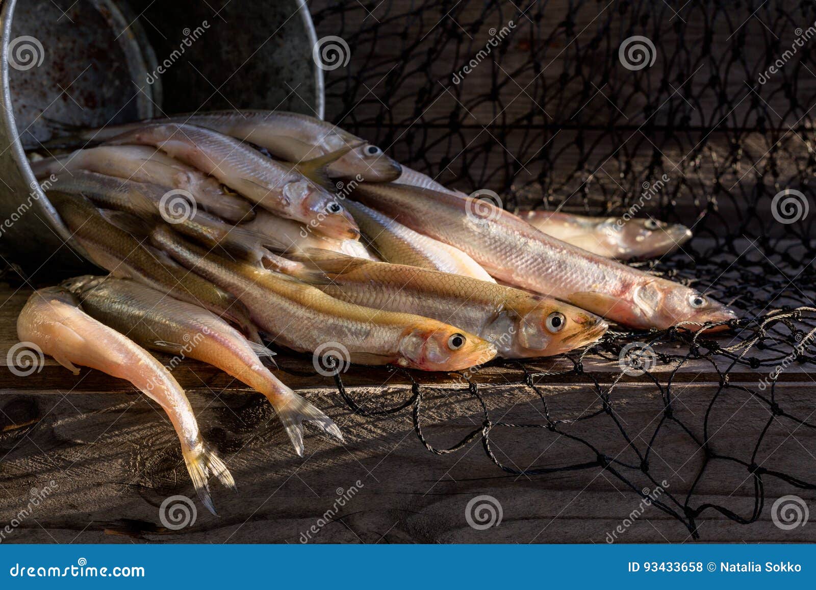 Still Life with Raw Fish and Fishnet Stock Photo - Image of seafood ...
