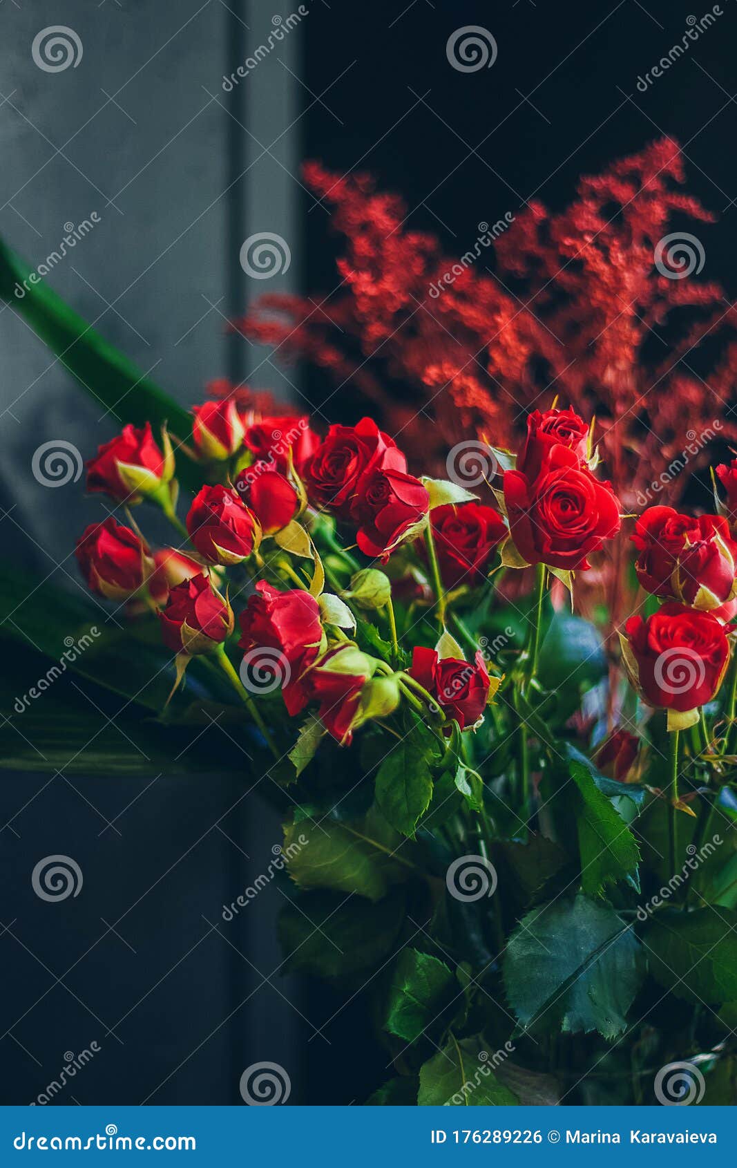 Still Life with Red Roses Bouquet on the Dark Background Stock Photo ...