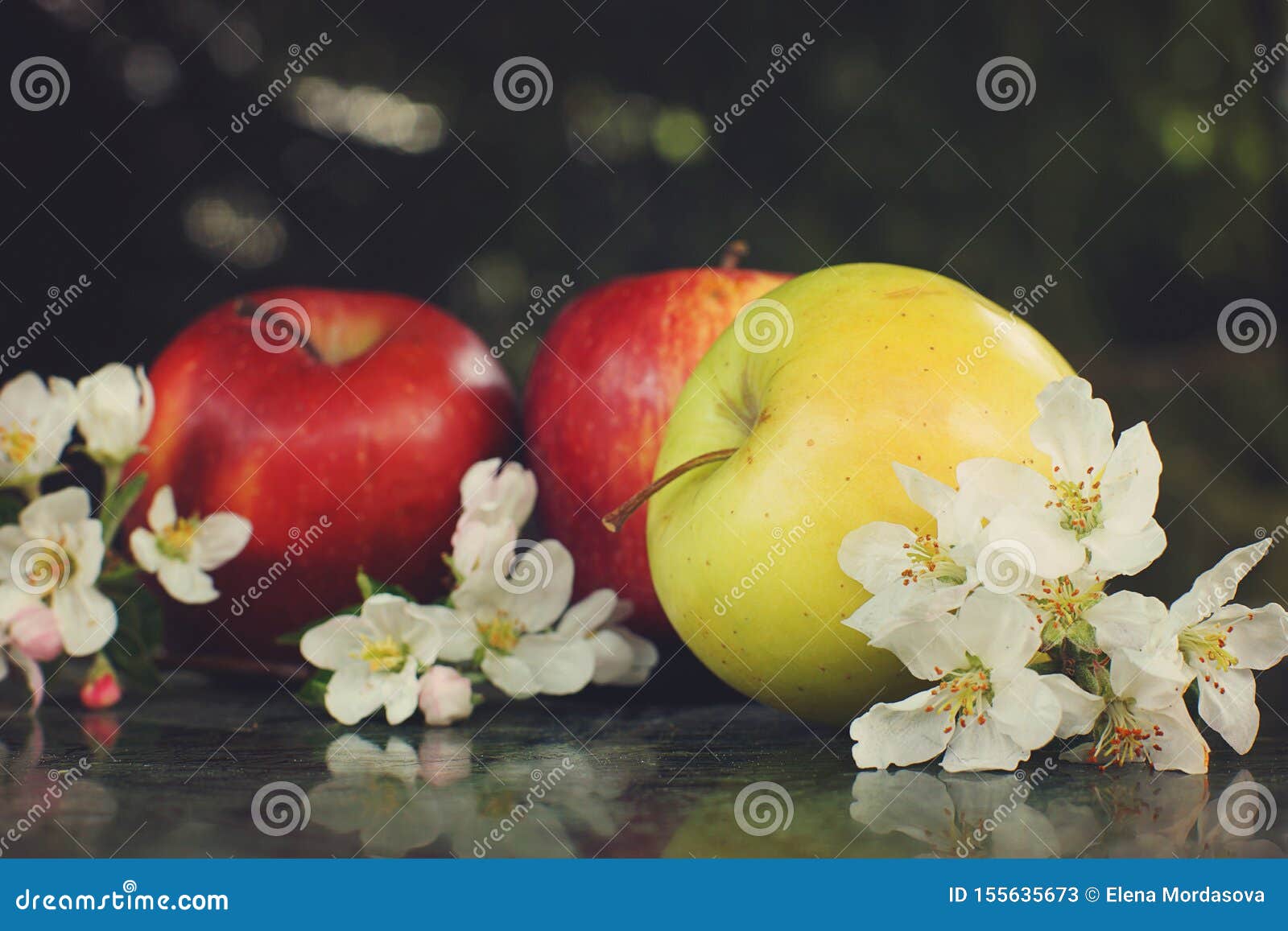 Still Life with Red and Yellow Apples and Delicate White Flowers on the ...