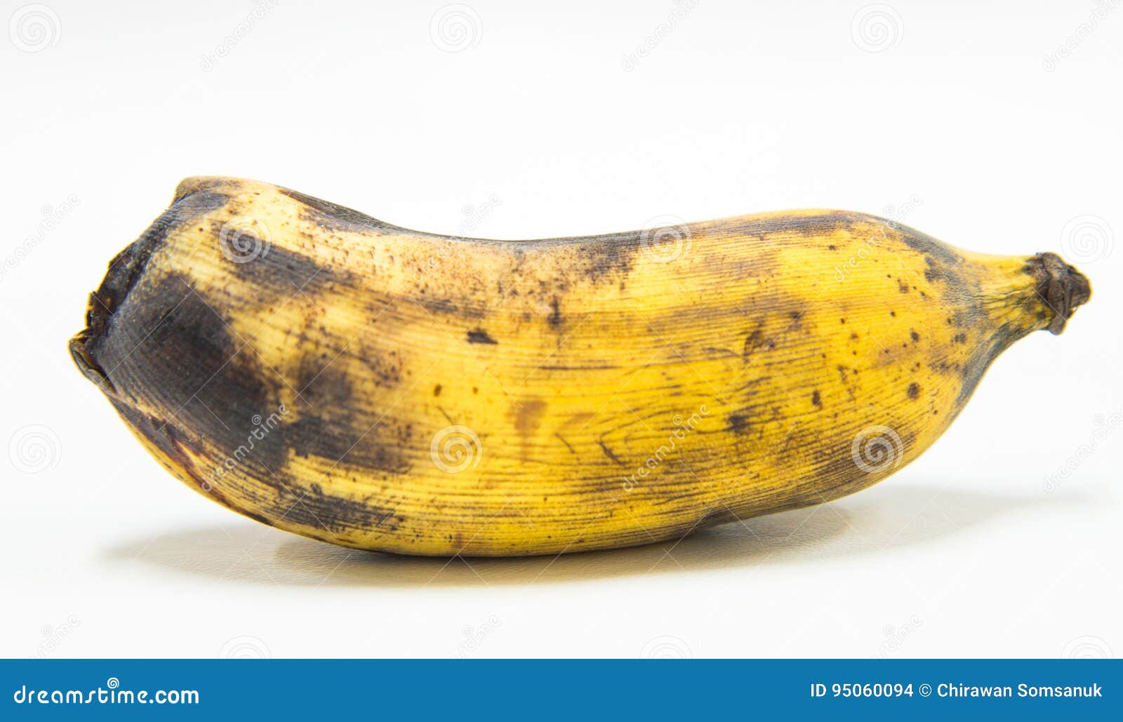 Still life rotten fruit stock photo. Image of pumpkin - 95060094