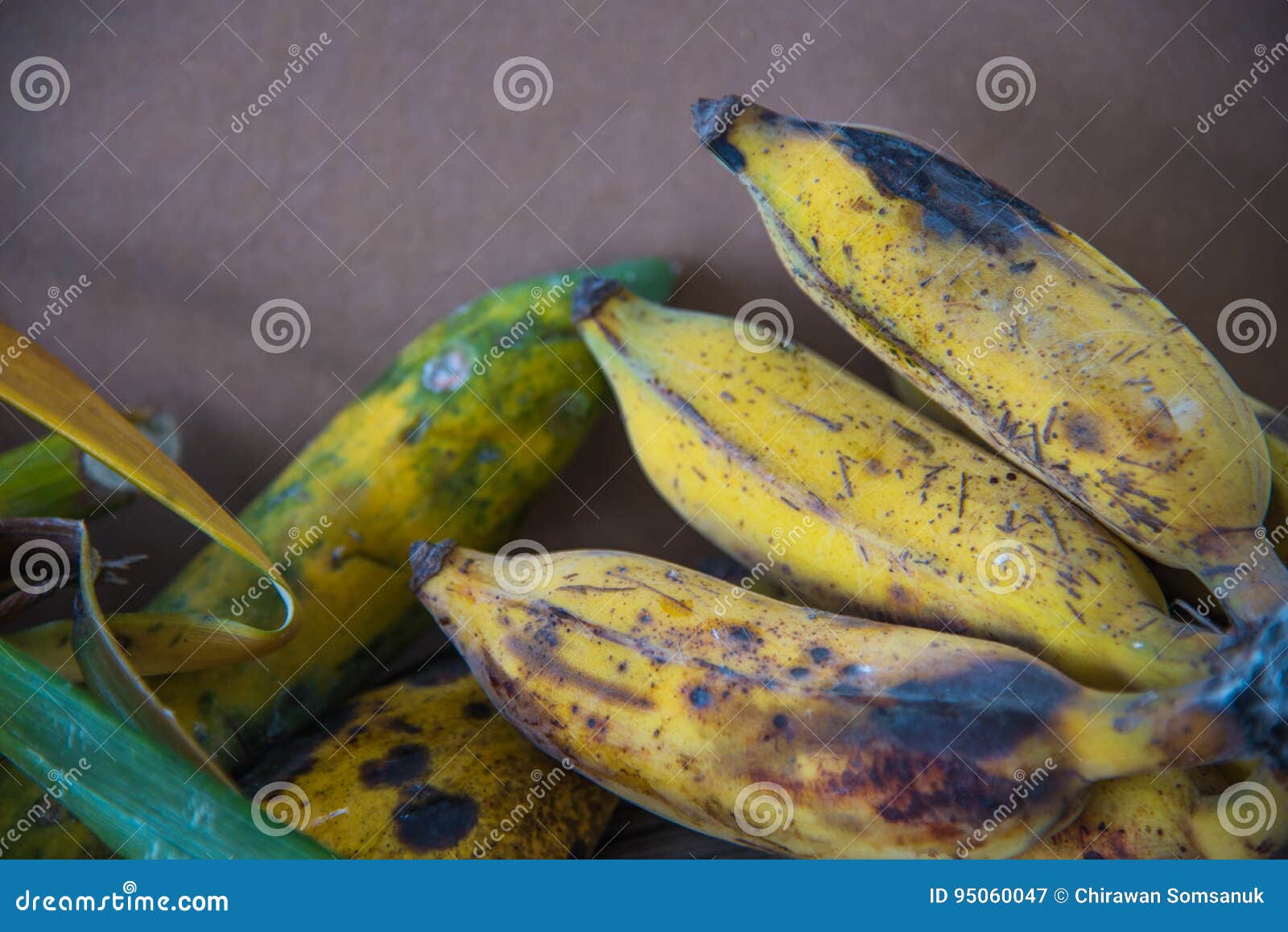 Still life rotten fruit stock image. Image of fruit, calabash - 95060047