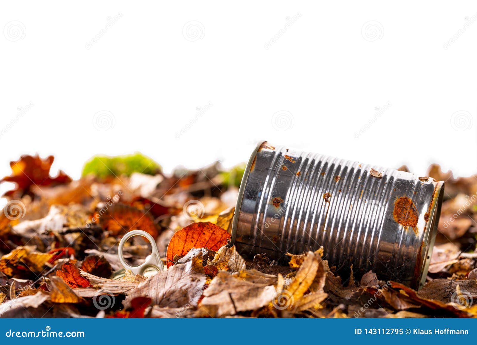 Rusty Tin Can Waste on Forest Floor Closeup Stock Image - Image of ...