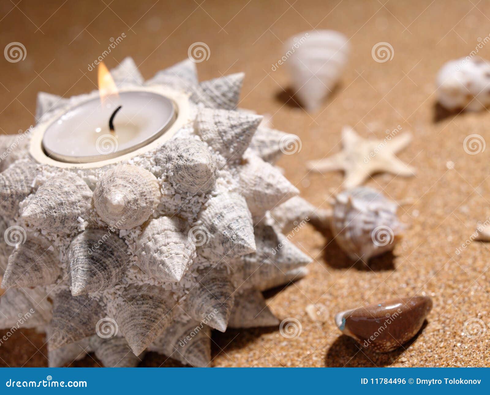 Still-life on the sea sand stock photo. Image of aroma - 11784496