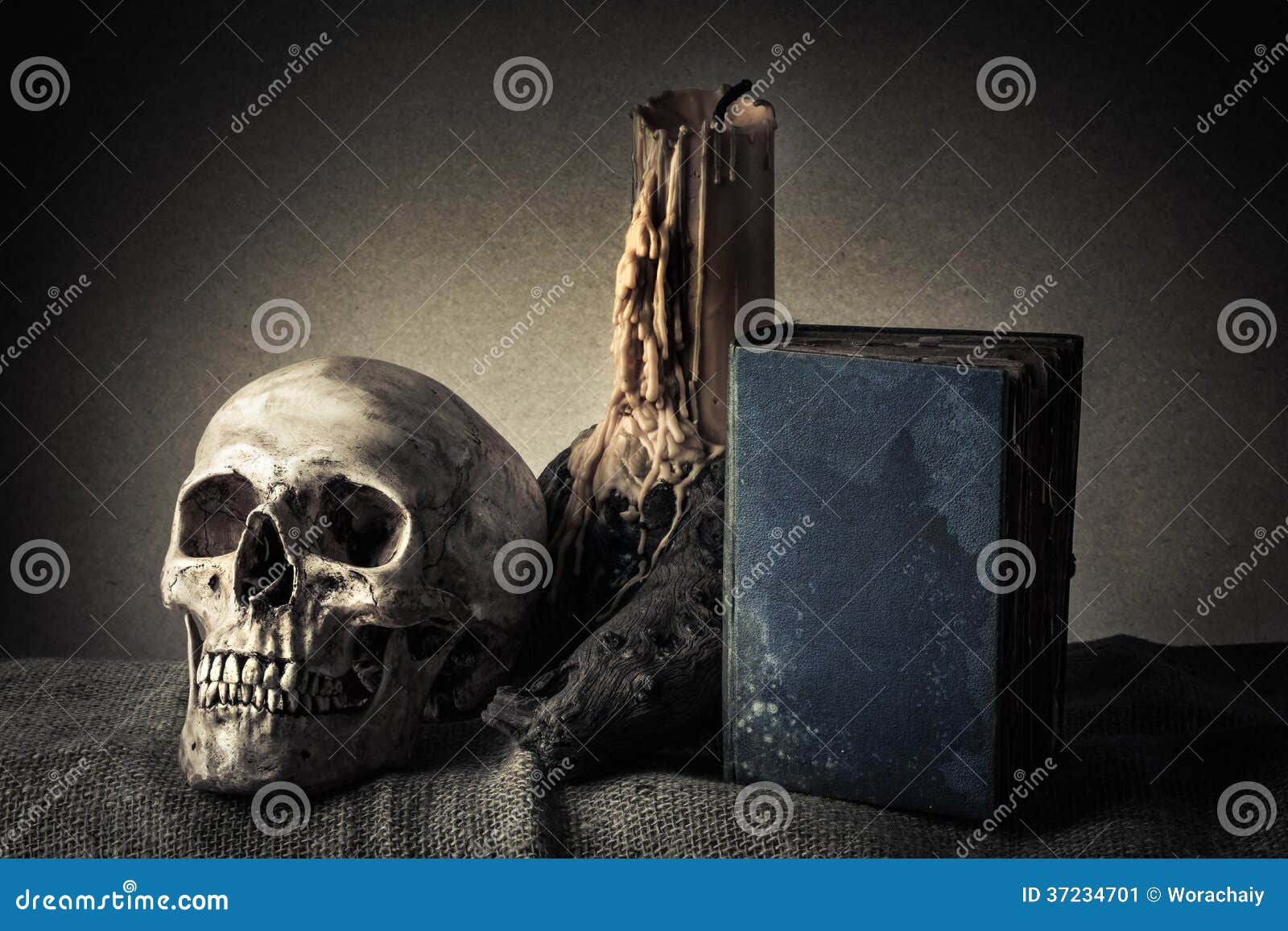 Still life skull stock image. Image of spiritual, dead - 37234701
