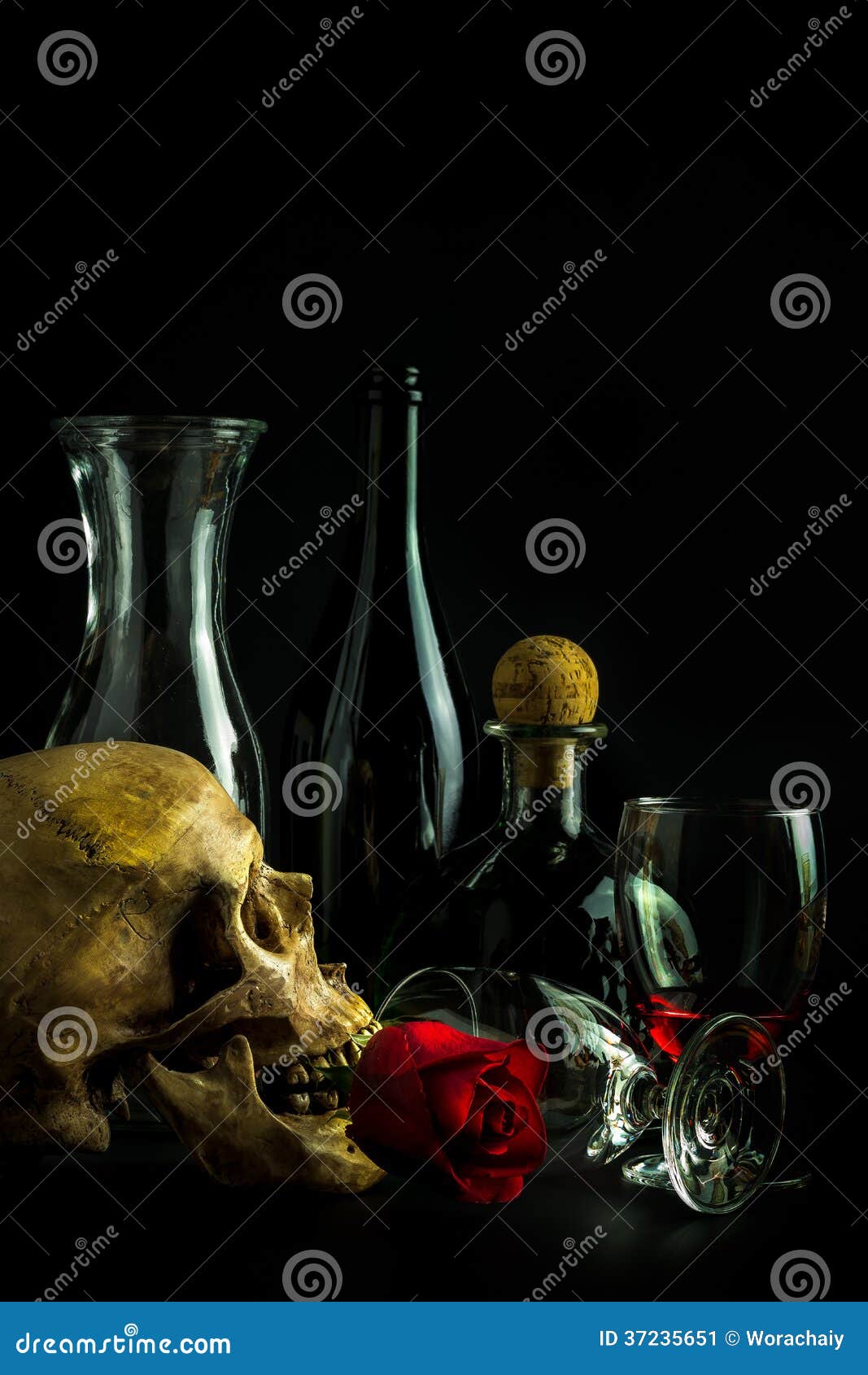 Still life skull stock image. Image of hospital, dead - 37235651